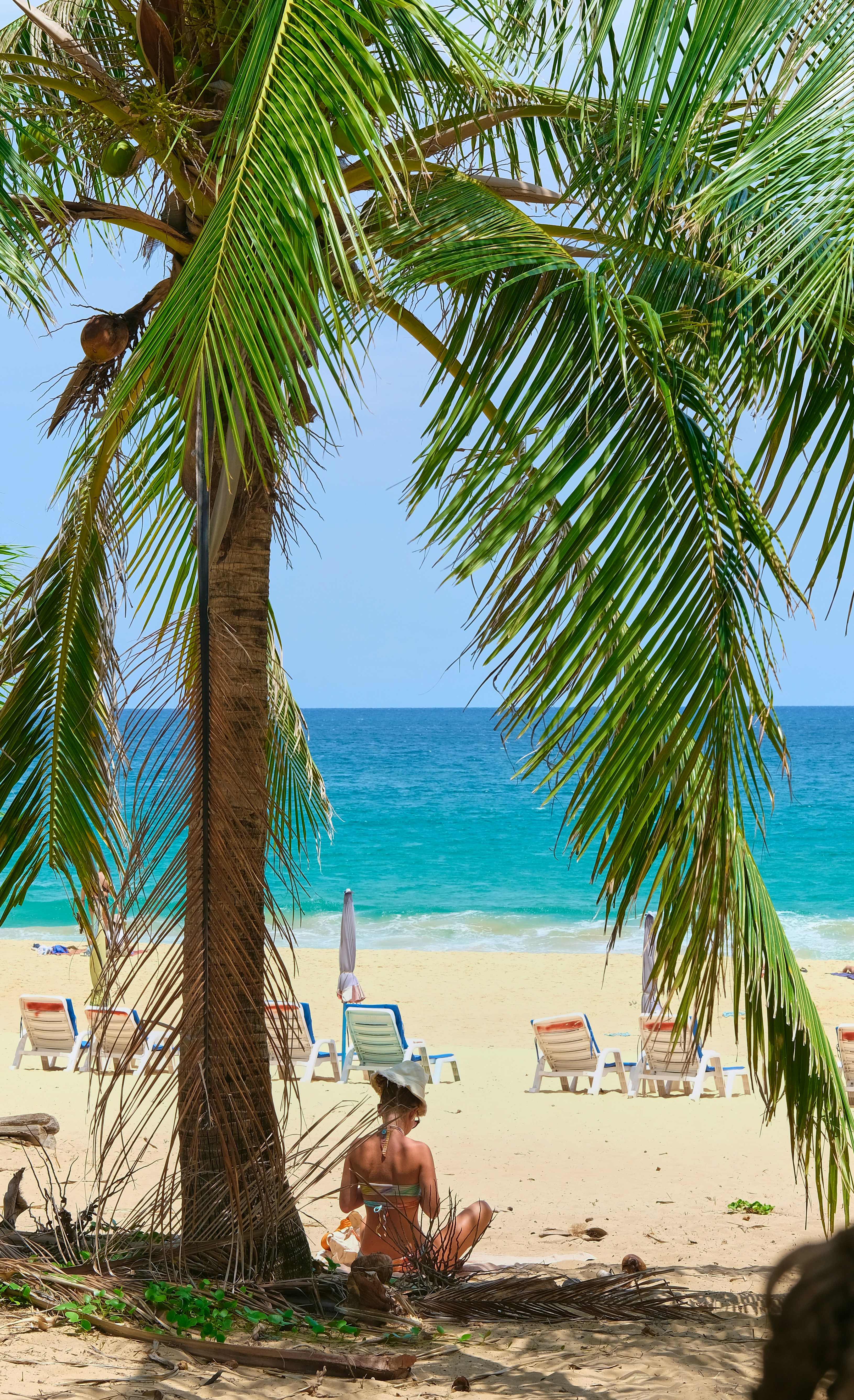 Palm Shade Over Beachgoer: Quiet Moment Under Tropical Canopy