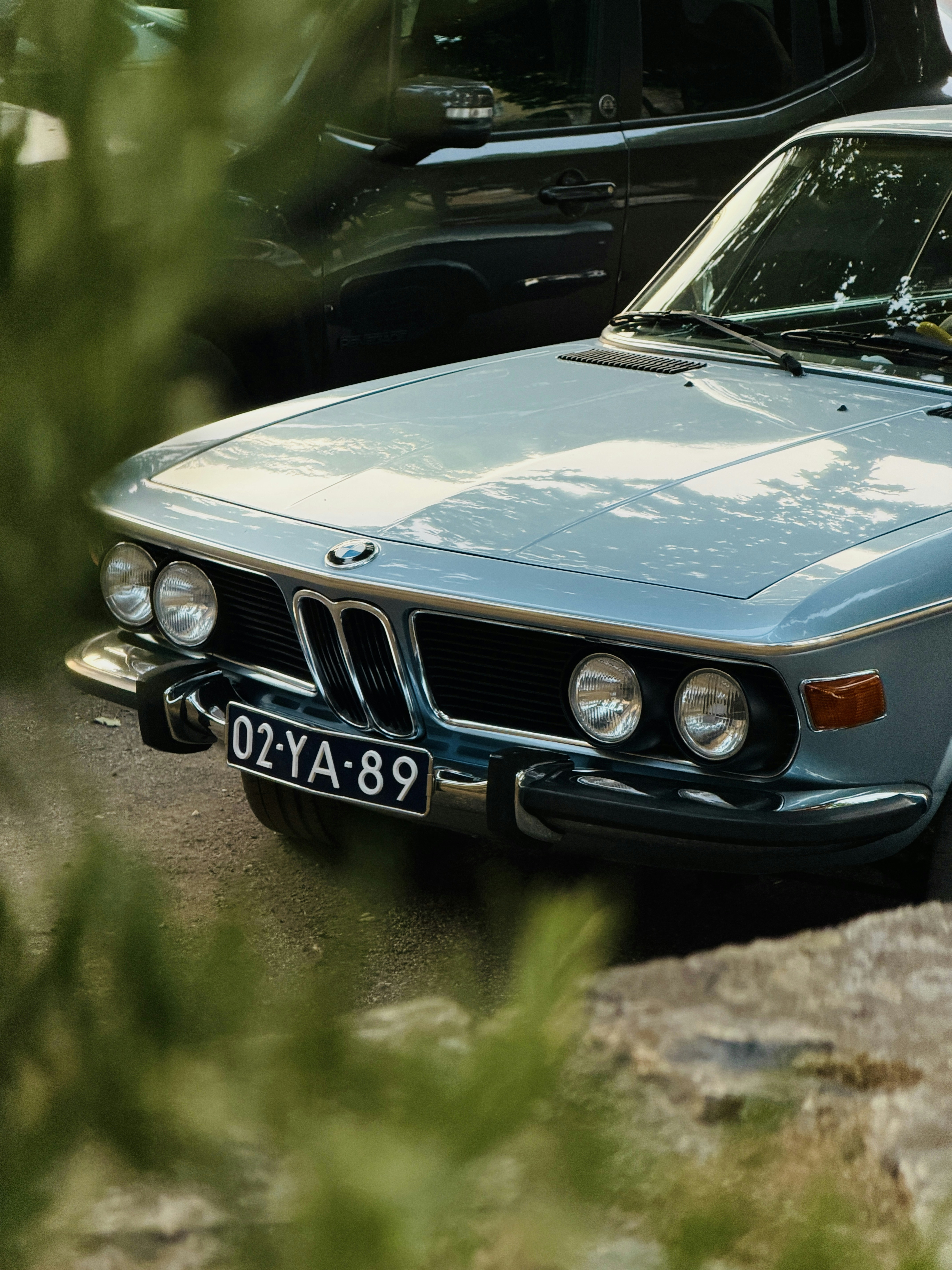 Blue classic BMW peeking from a leafy frame