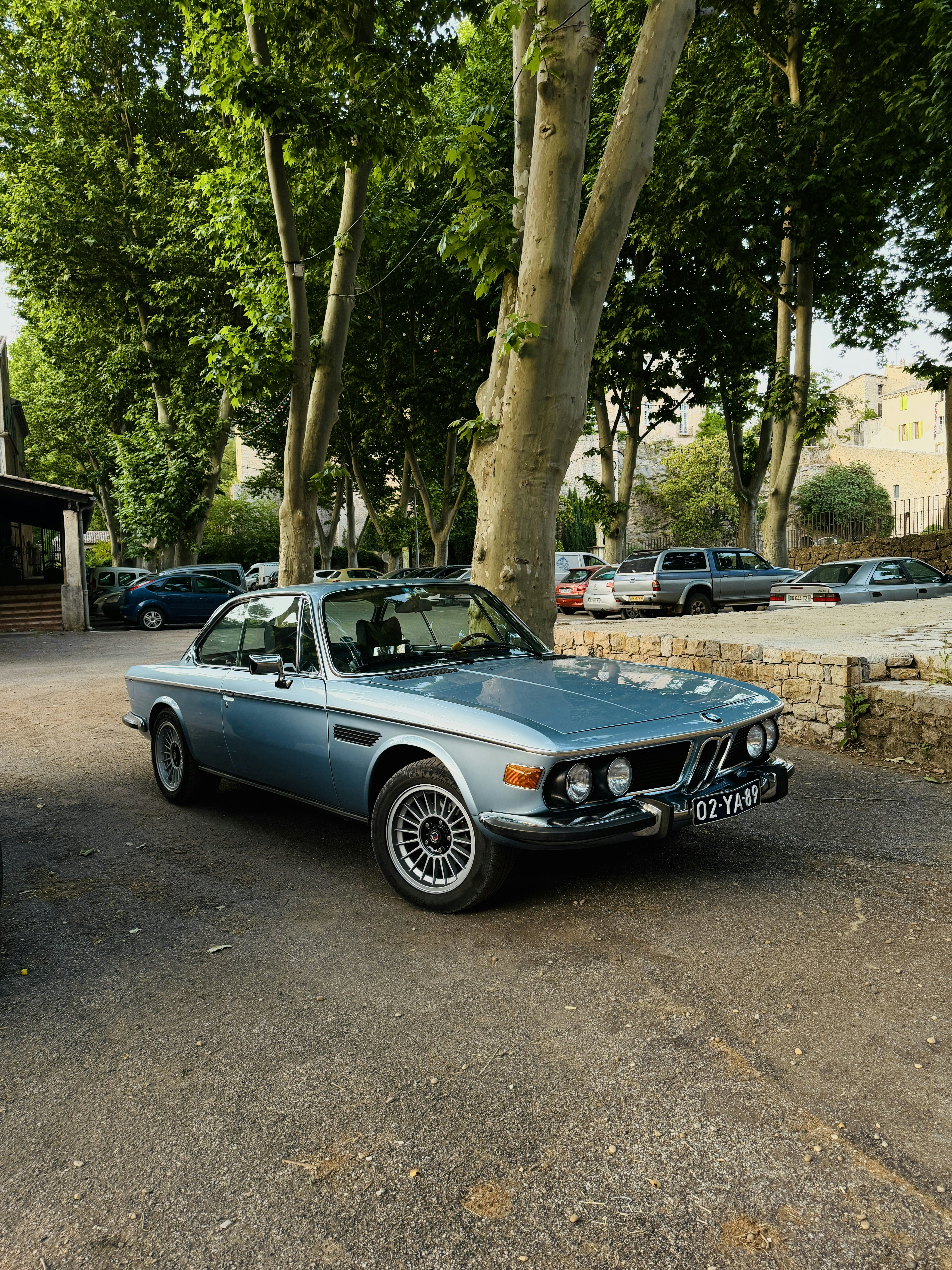 Blue Classic: A Vintage BMW Resting beneath Dappled Shade