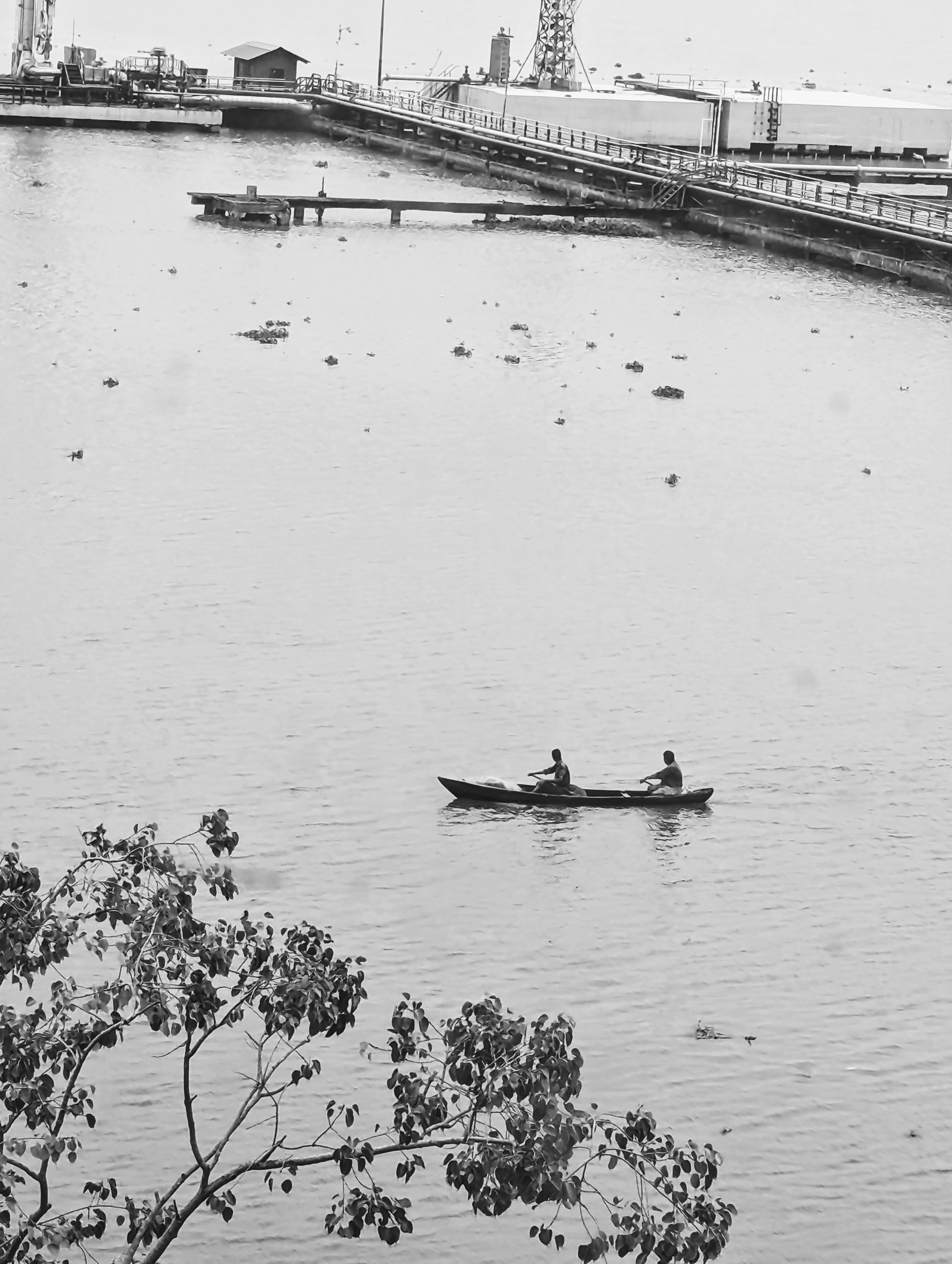 Two rowers on calm harbor water beneath a distant pier