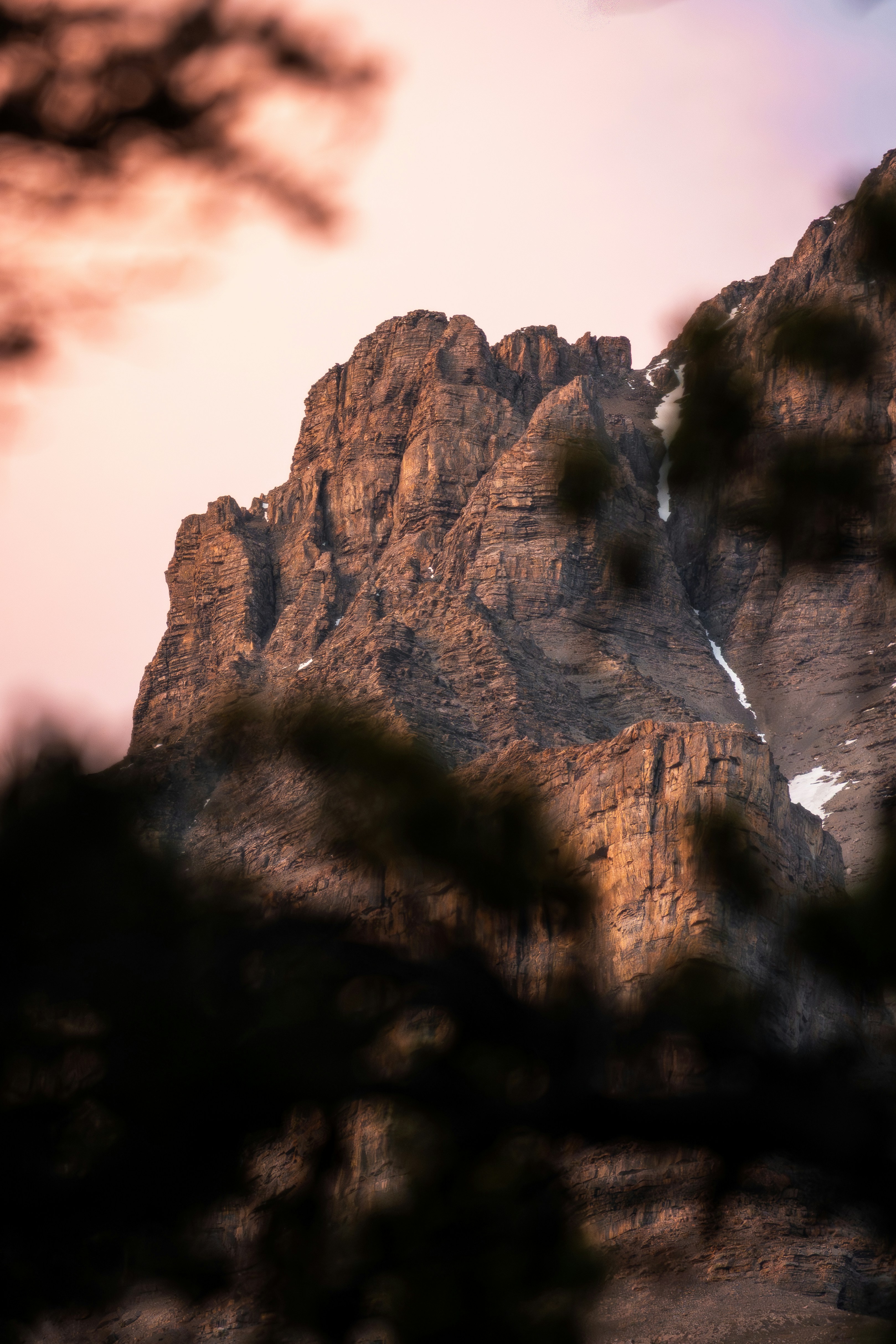 Rugged mountain peak at sunset with foreground branches.