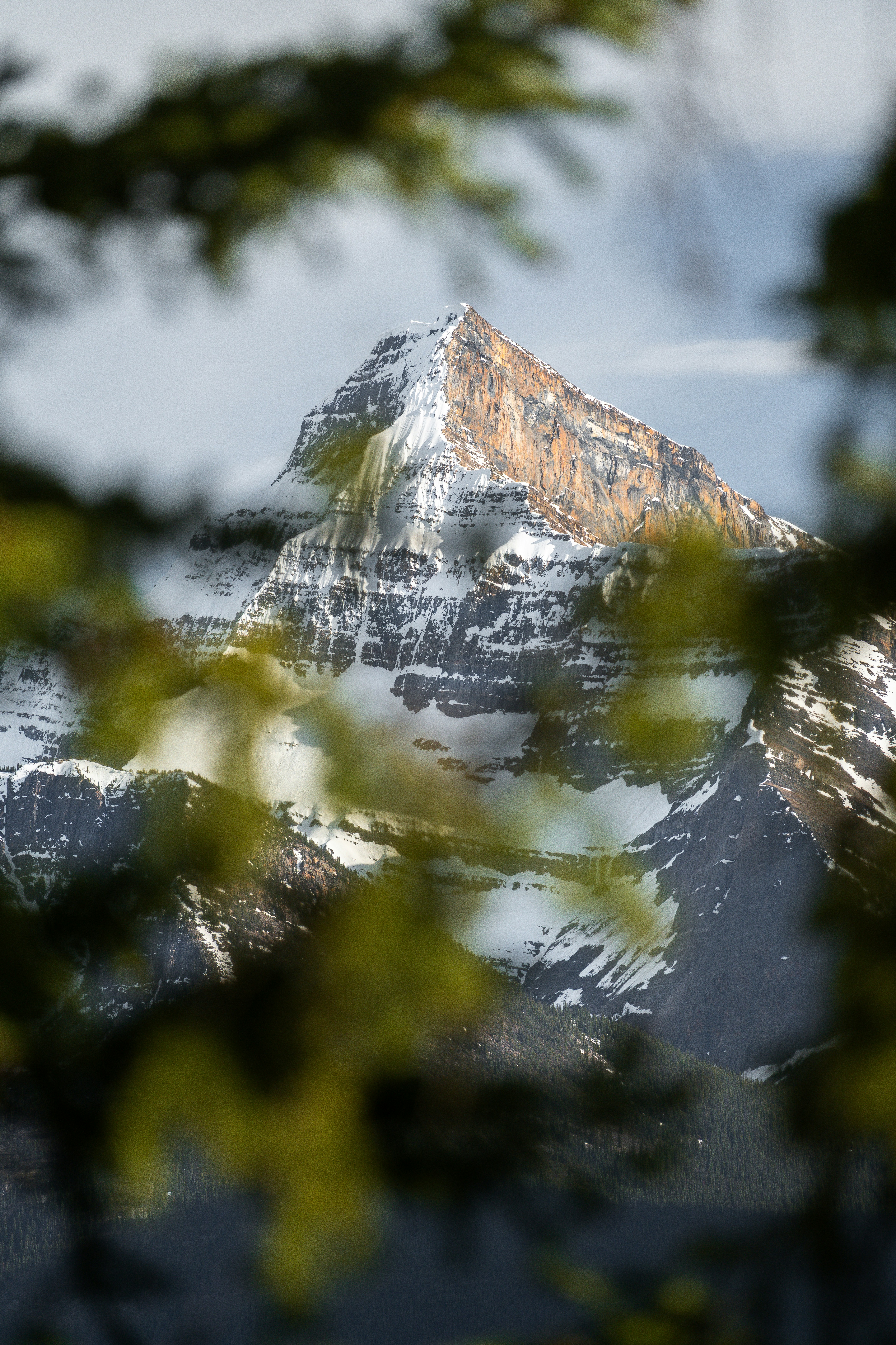 Snow-Kissed Peak Peering Through a Framed Glade