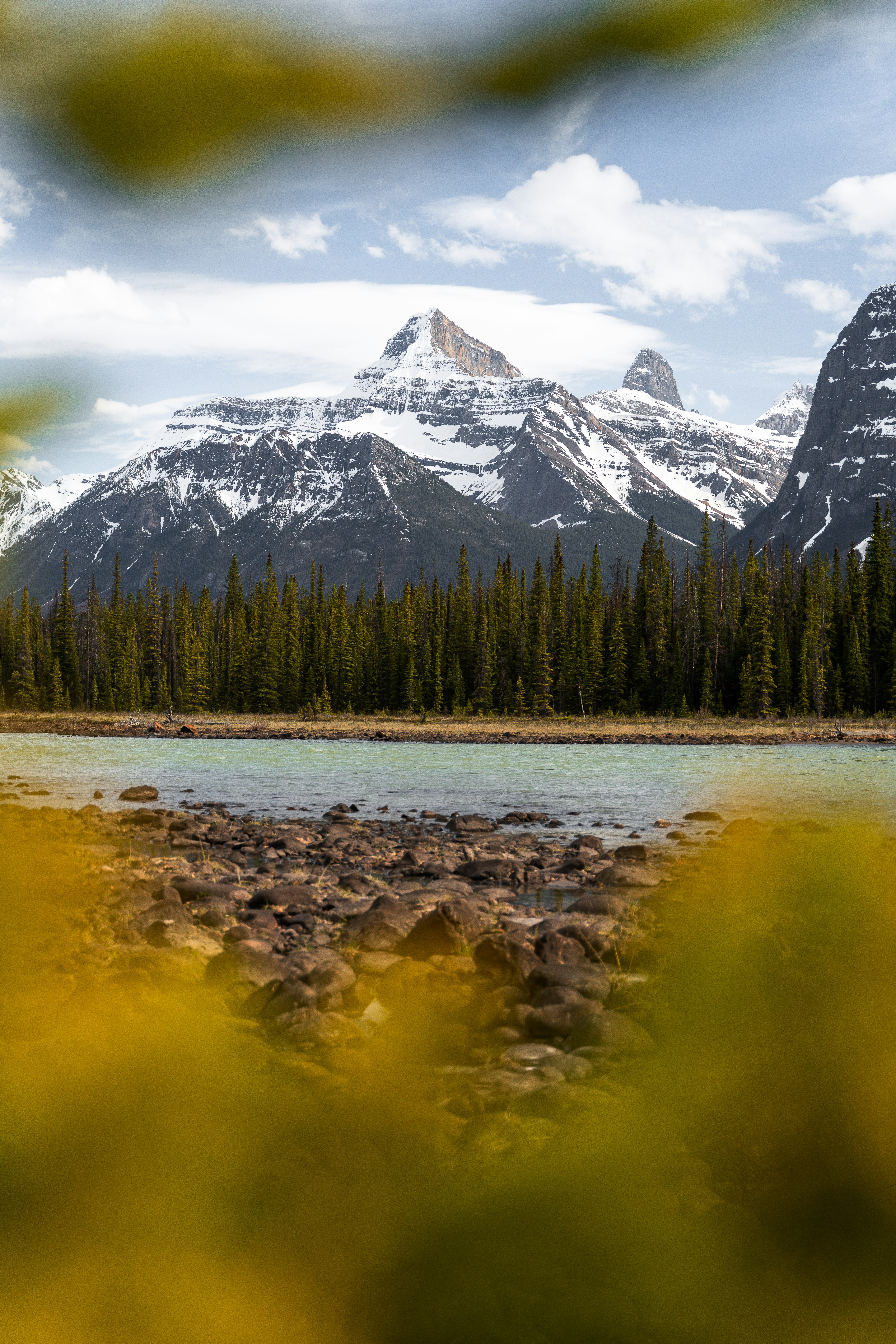 Snow-Capped Peaks Framed by Golden Foreground