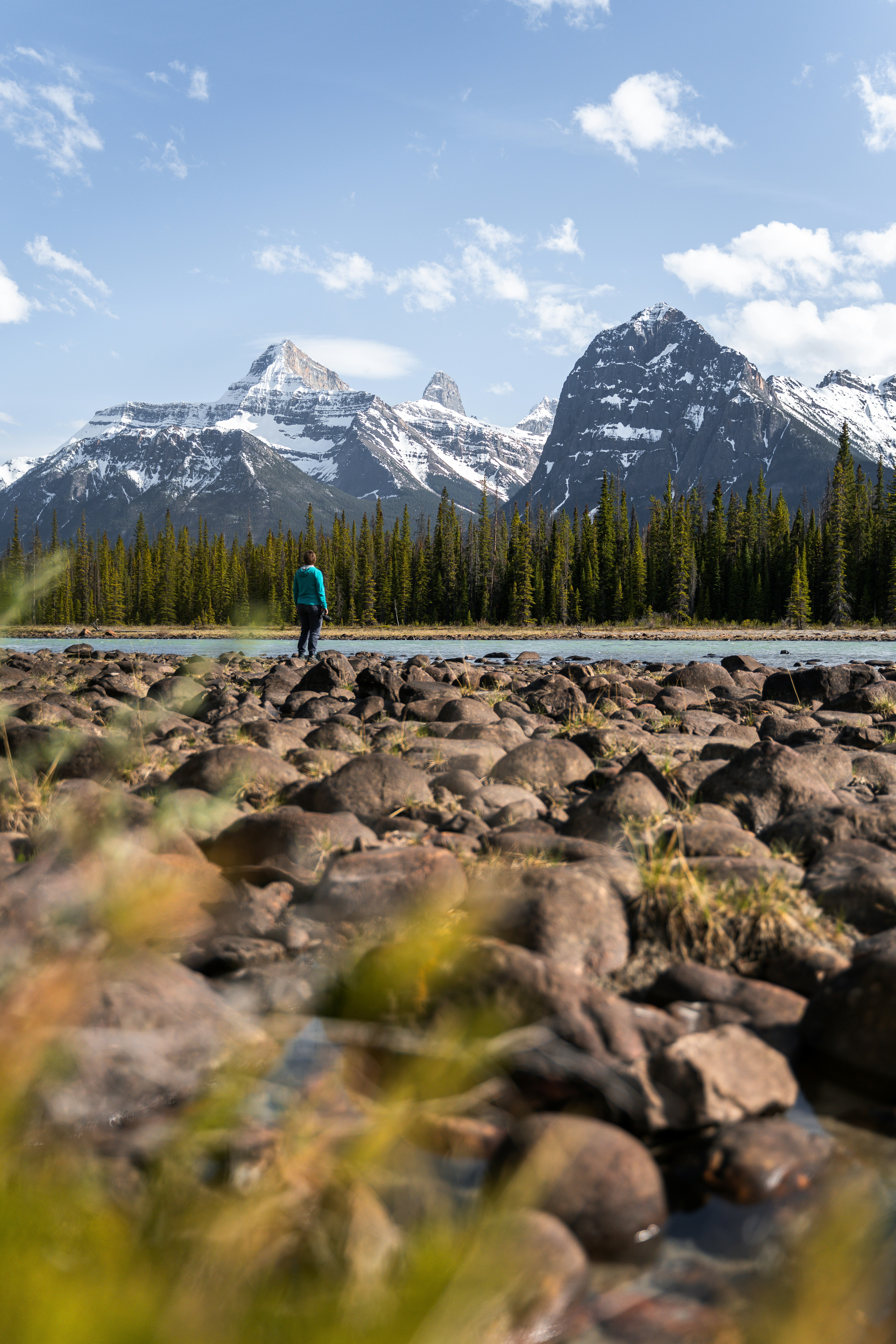 Hiker on rocky shore facing snow-capped mountains and forest.