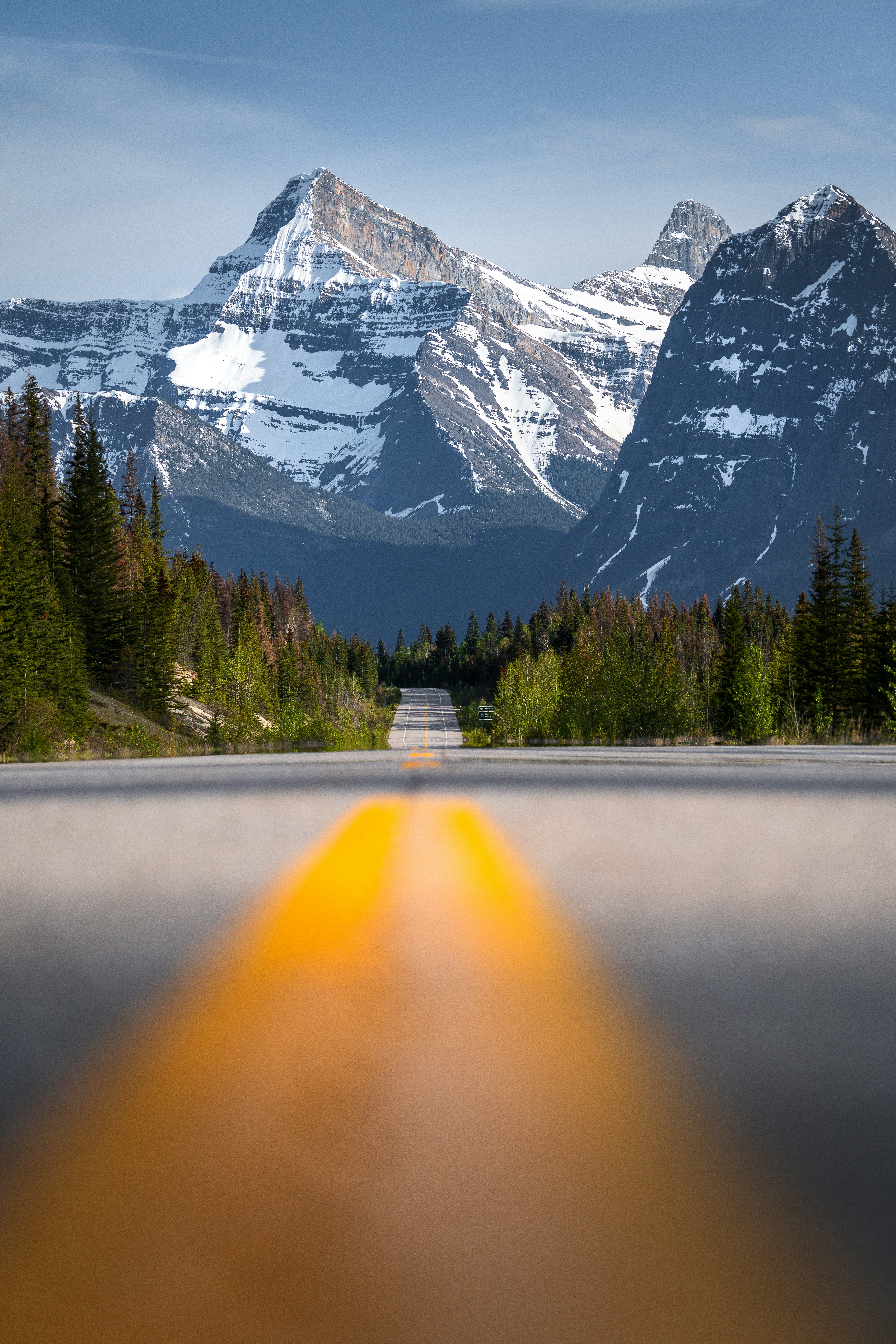 A long road leads to majestic snow-capped mountains and forests.
