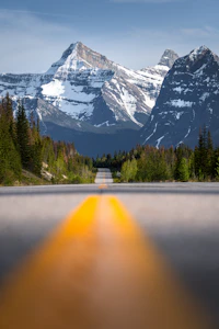 Long Road to Snowcaps: A Mountain Highway Pierces the Pines