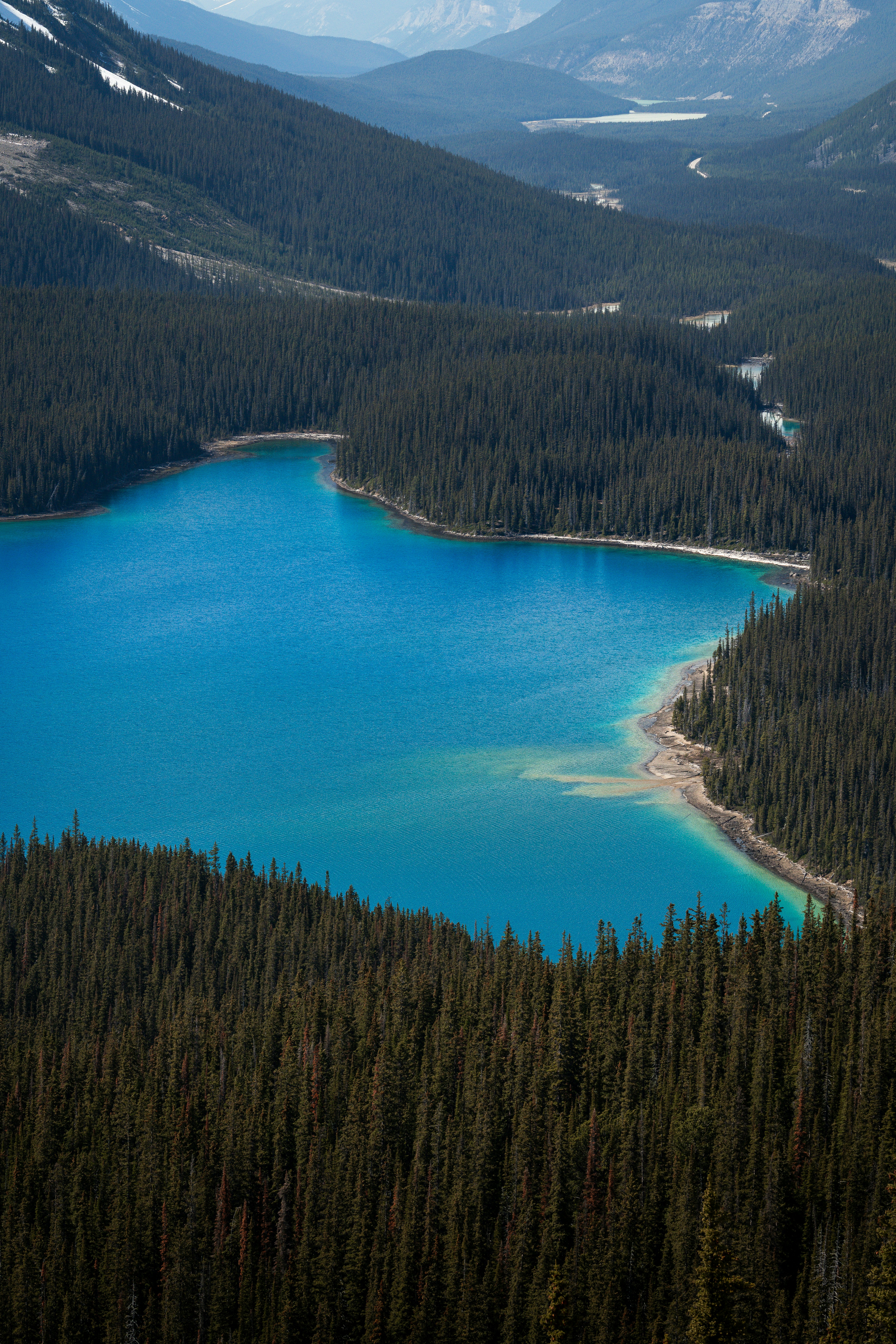 Emerald Lake Wash: Aerial Blues Among Pine Needle Pines