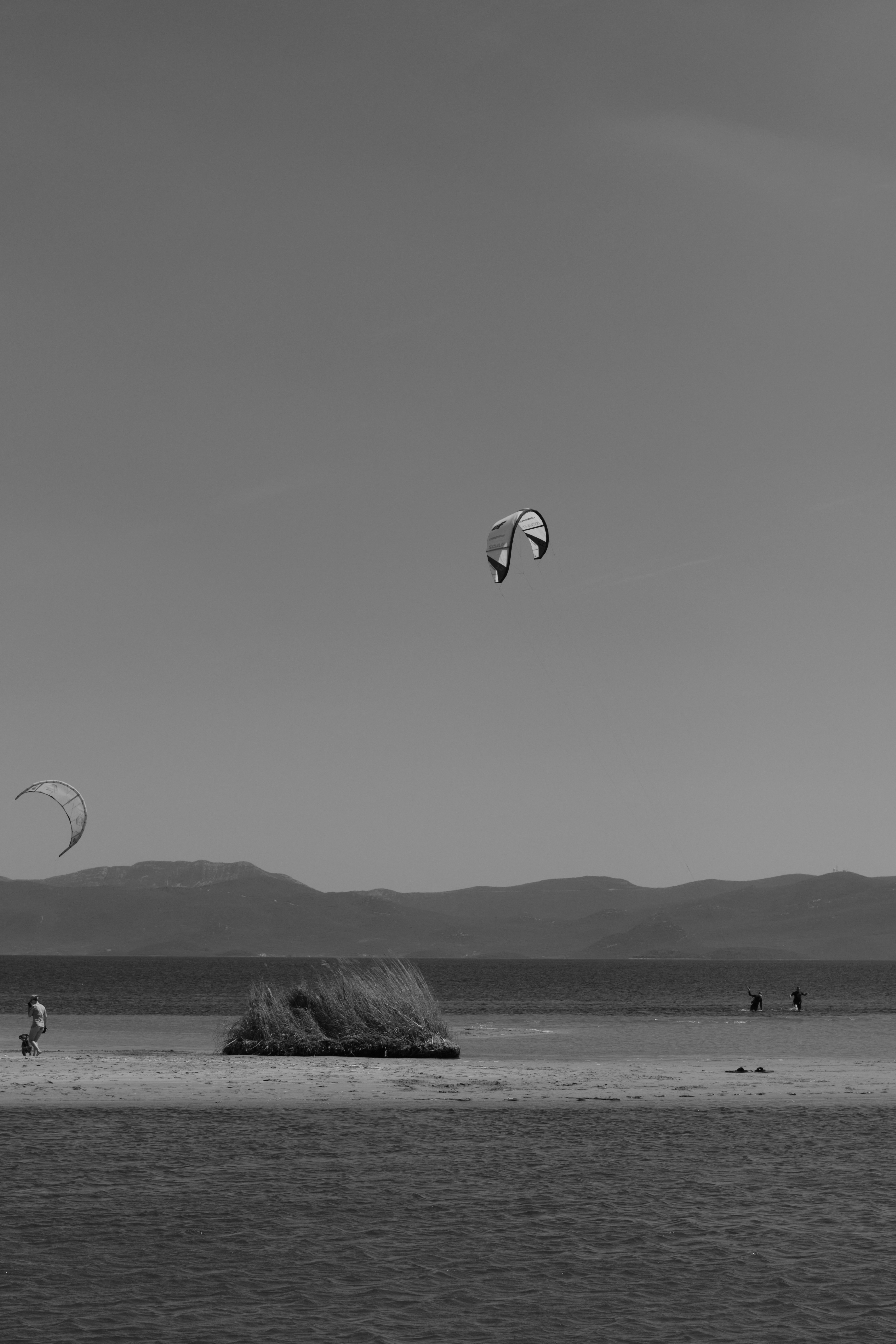 Kite-Sailed Horizon: Quiet Coastal Ballet