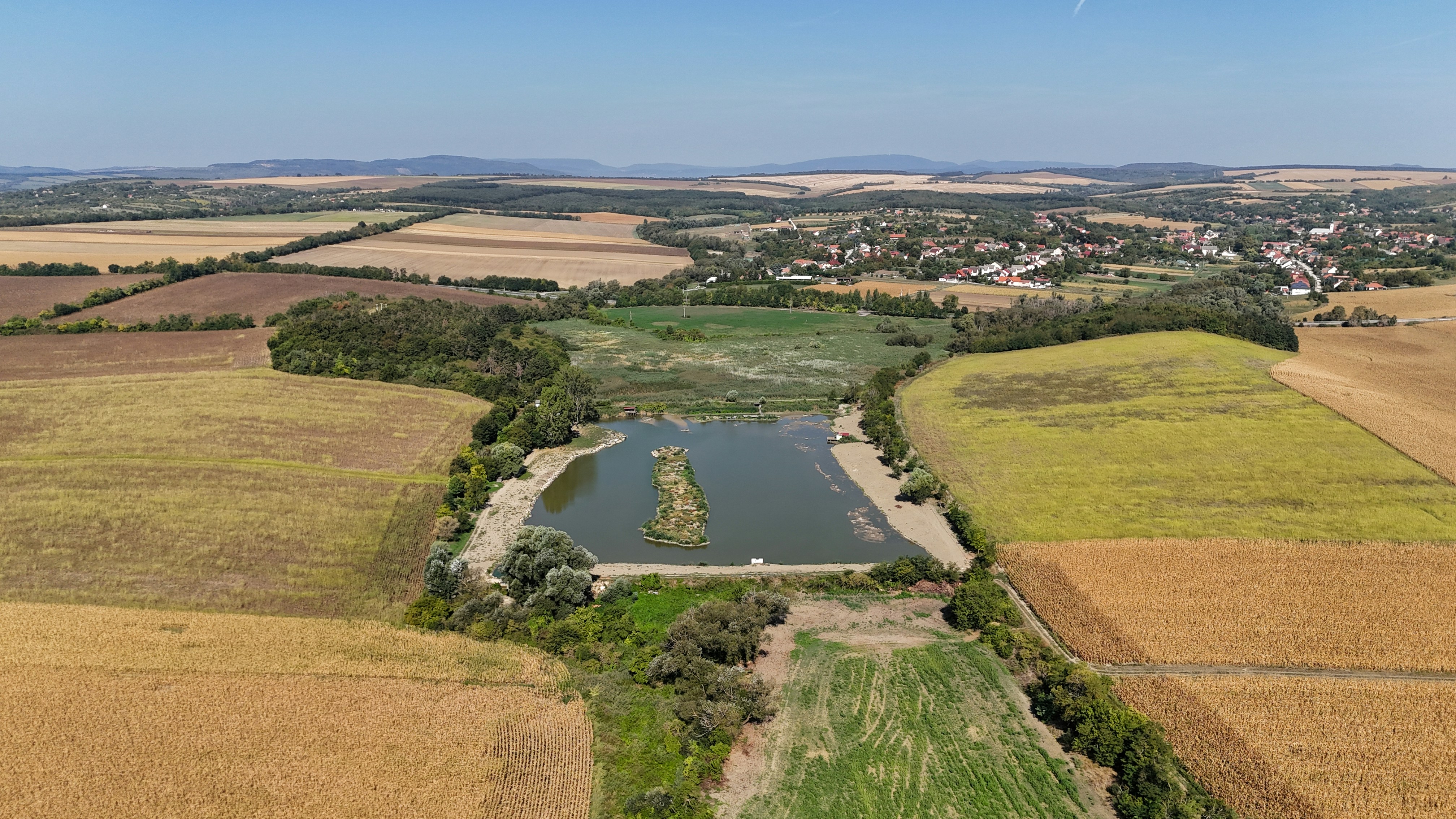 Field Mosaic with Central Waterway and Village Crest