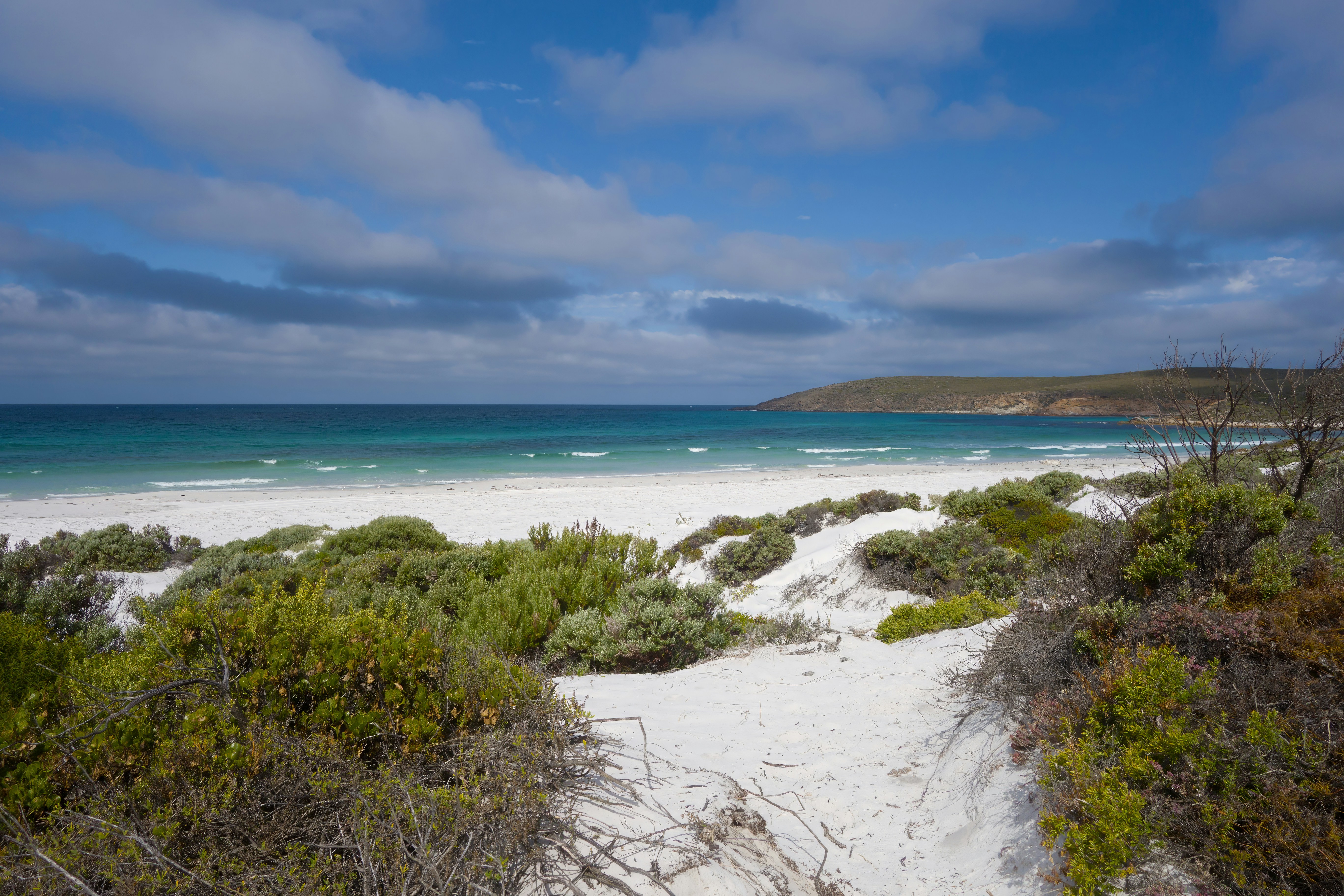 Dune Path to a Looming Blue Horizon