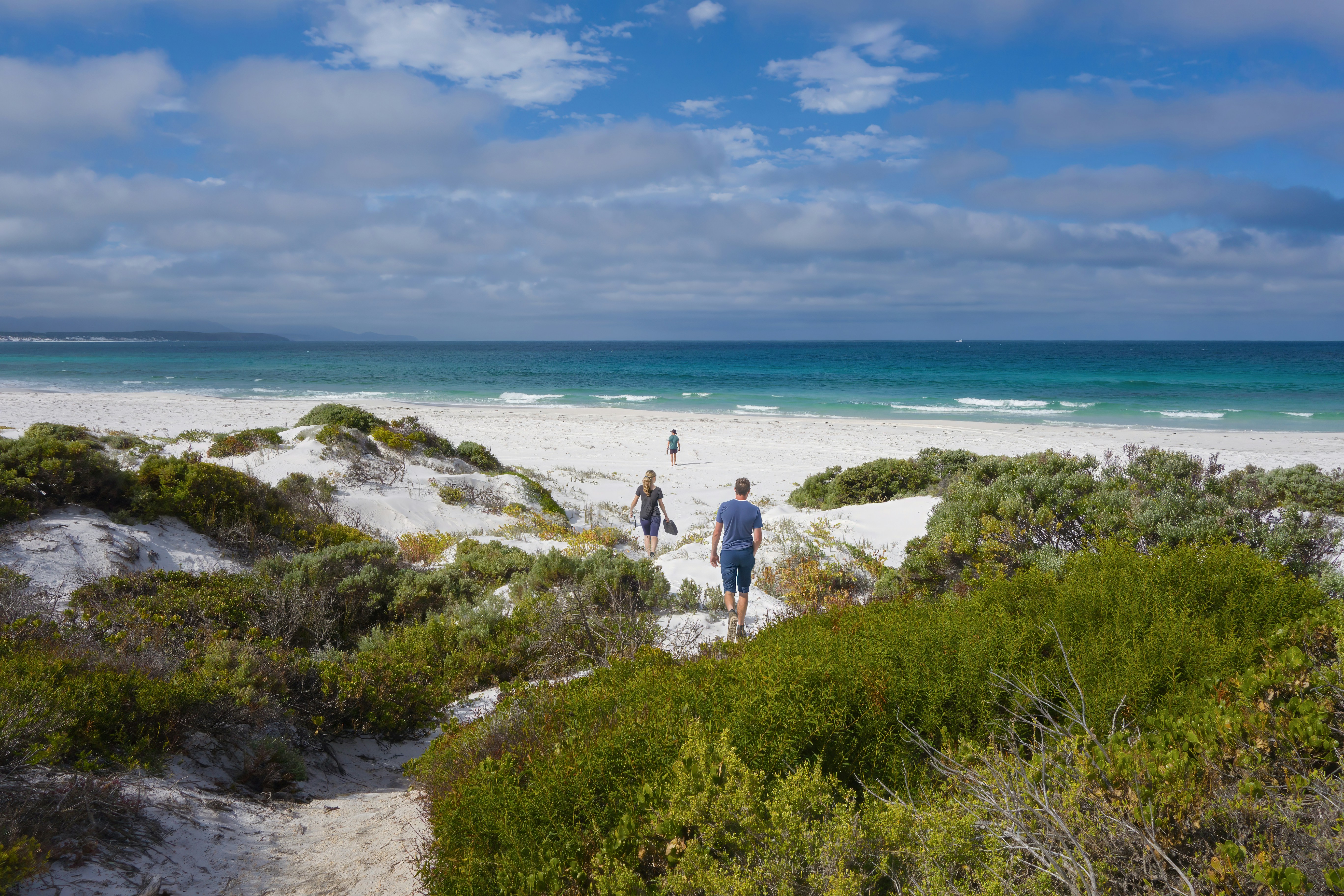 People walk sandy path towards a beautiful white beach.