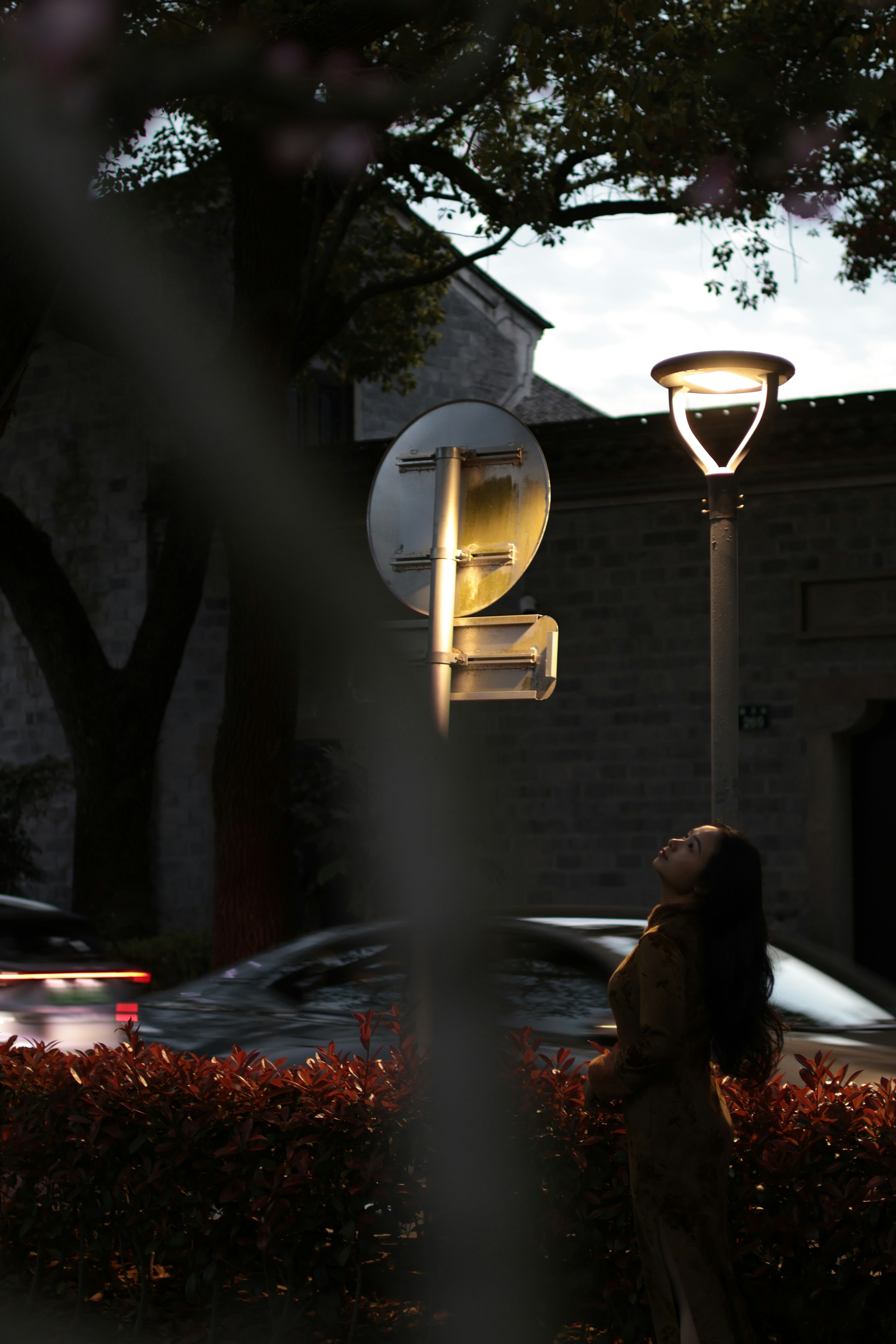 Night Walk Under a Streetlamp: Quiet Moments by the City Edge