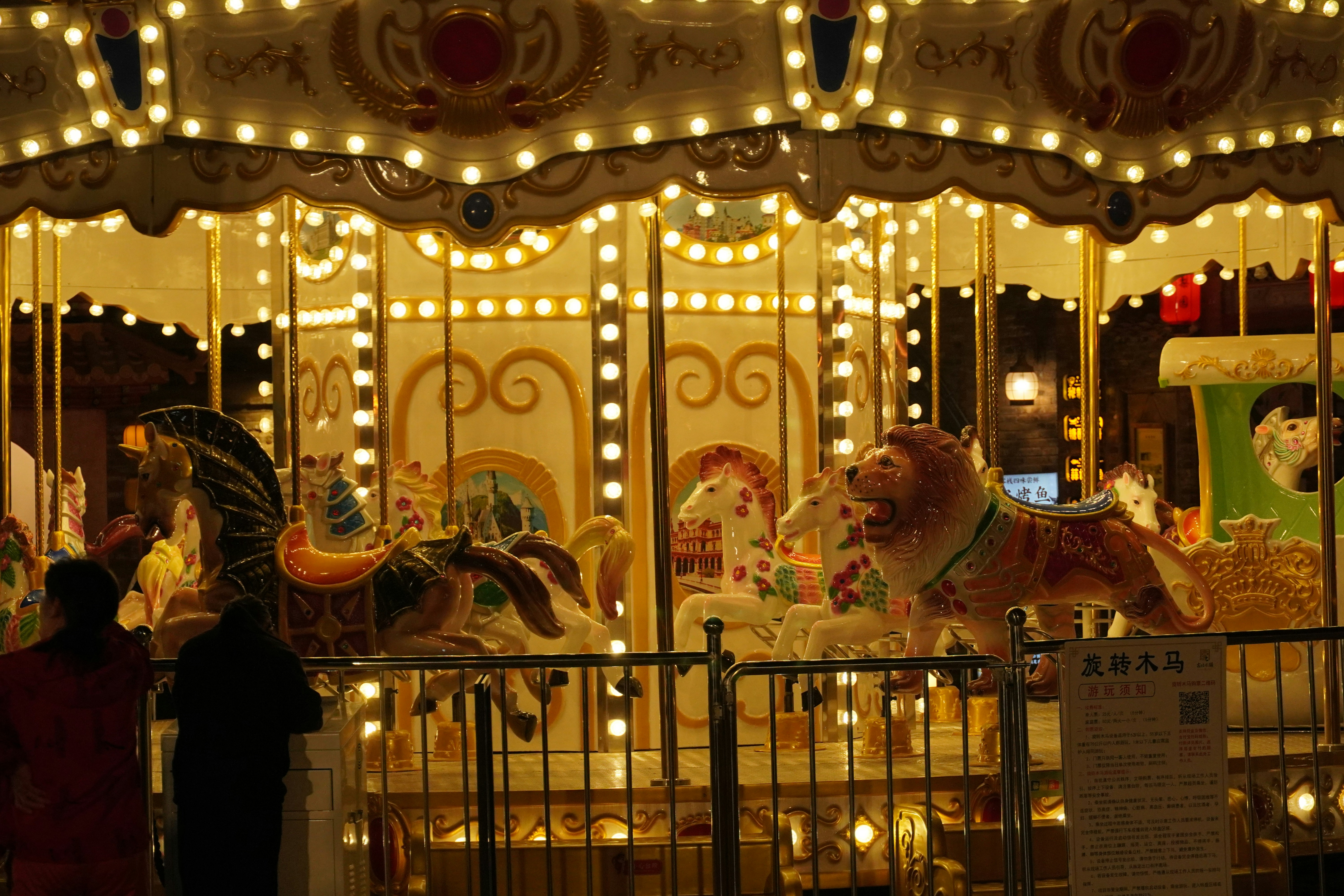 Golden Carousel Lights: A Night at the Amusement Ride