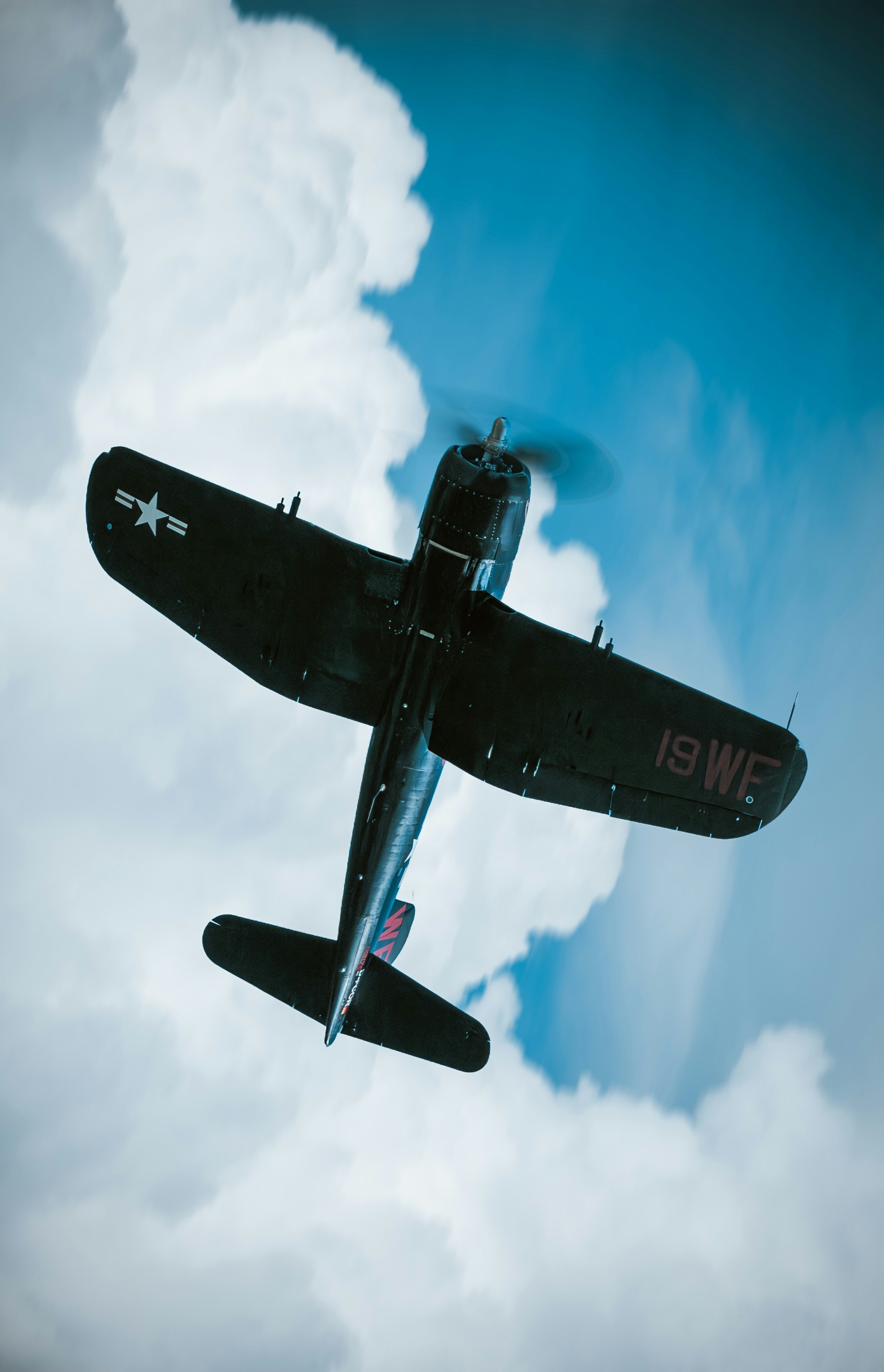 Mid-Flight Shadow: A Dark Warbird Skims Through Blue Skies