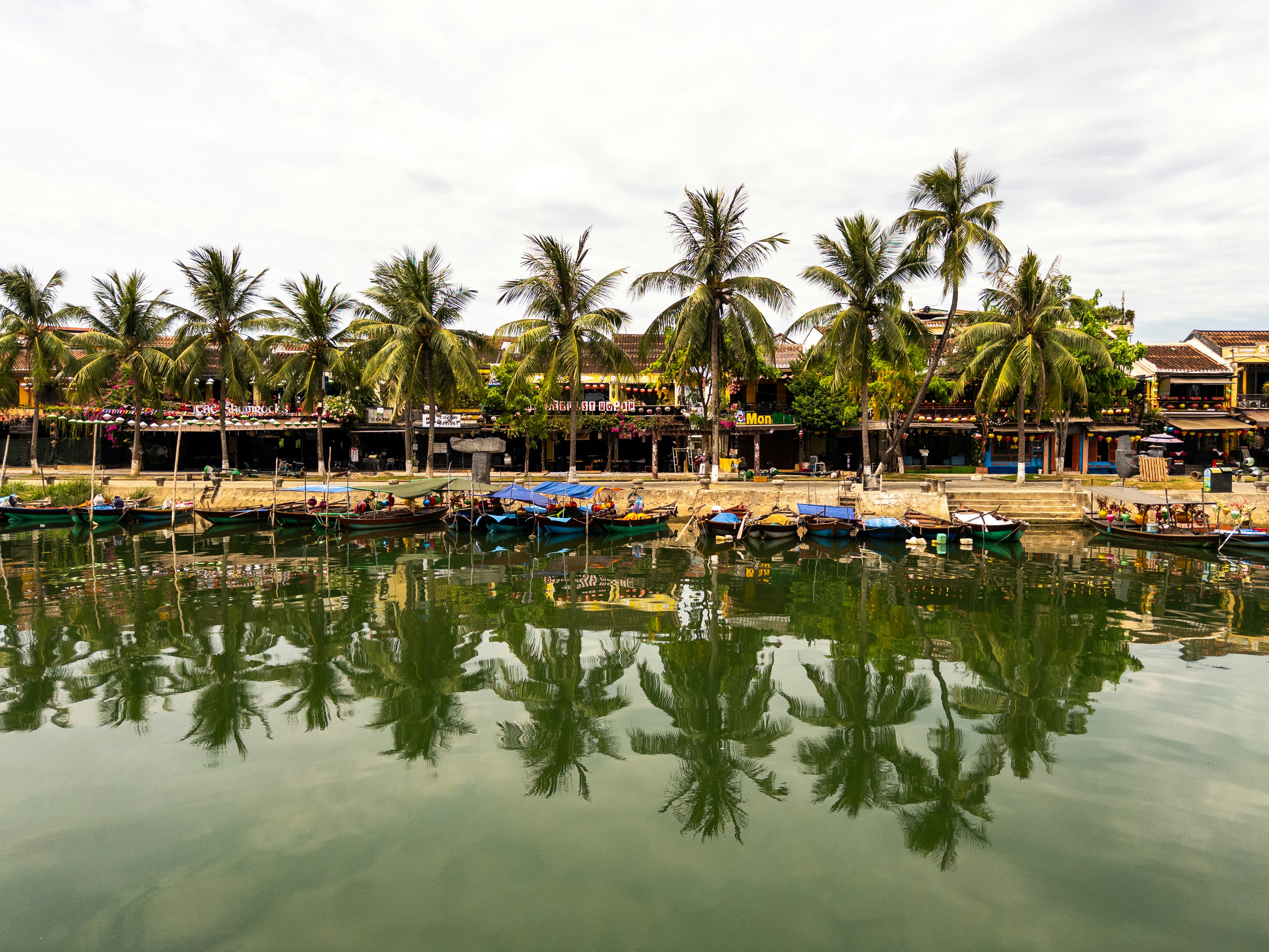Palm trees and buildings reflecting in calm water.