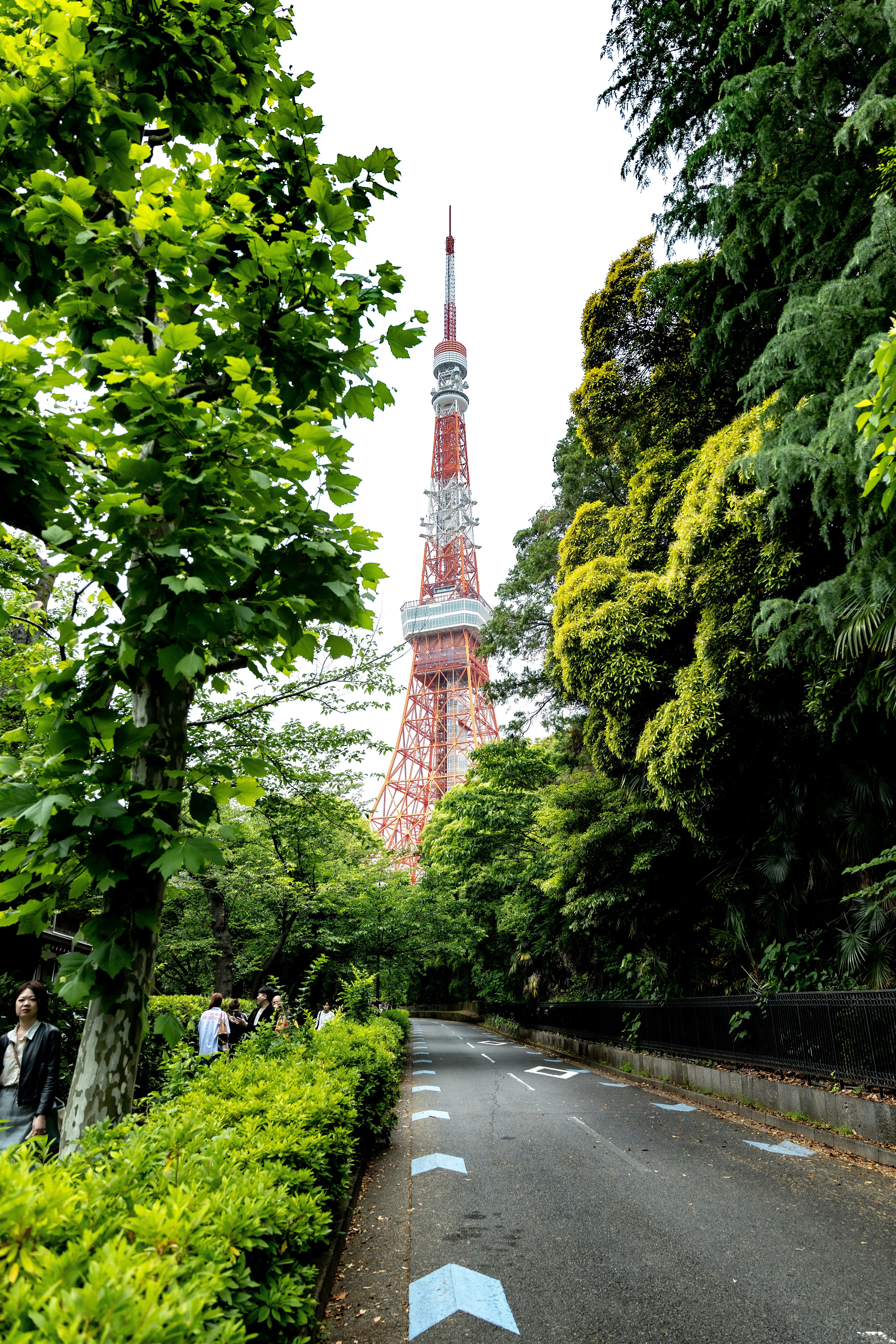 Tokyo tower framed by lush green trees and a path.