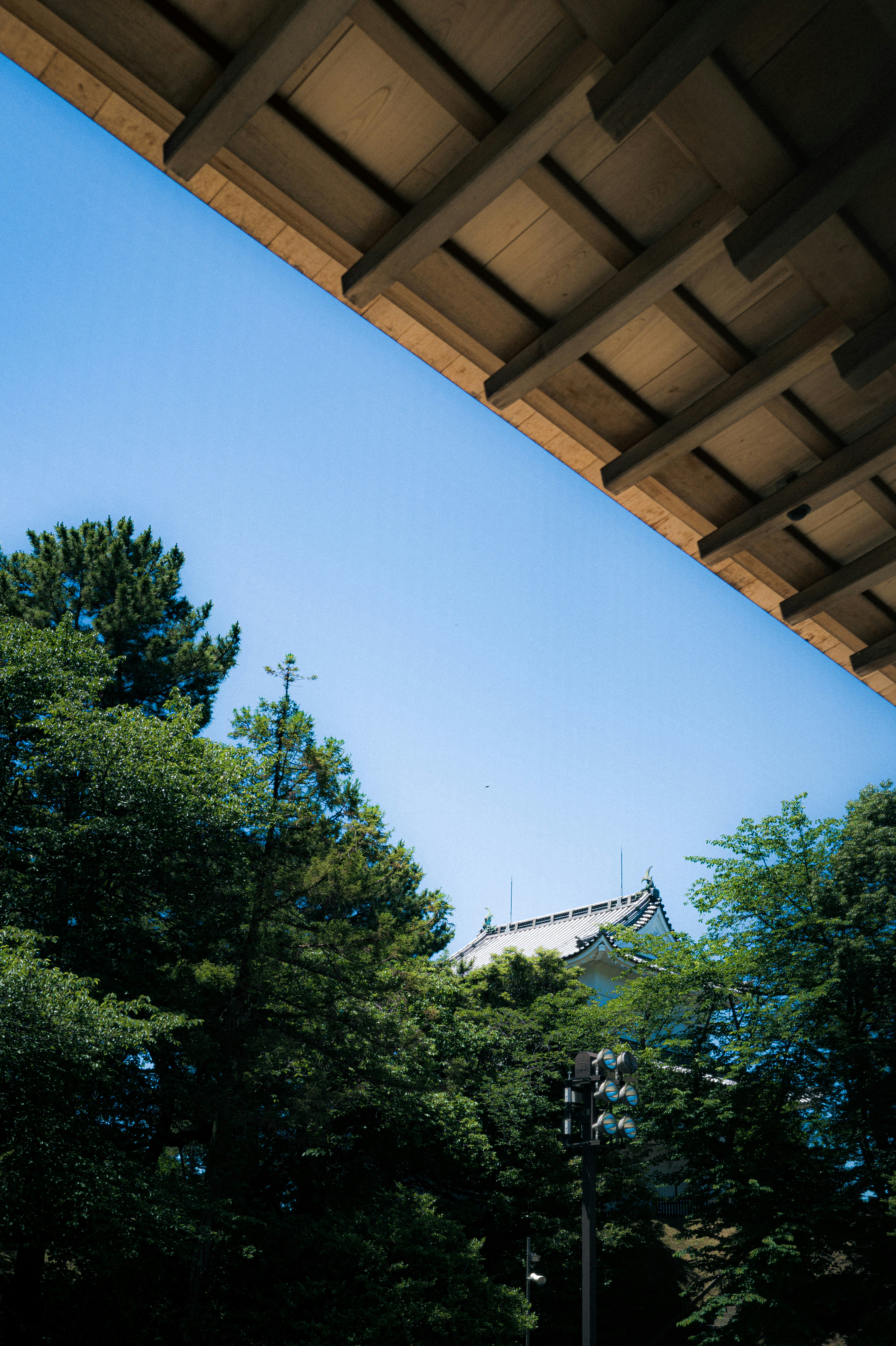 Under the Overhang: Framing a Temple Peak Beyond the Roadside Trees
