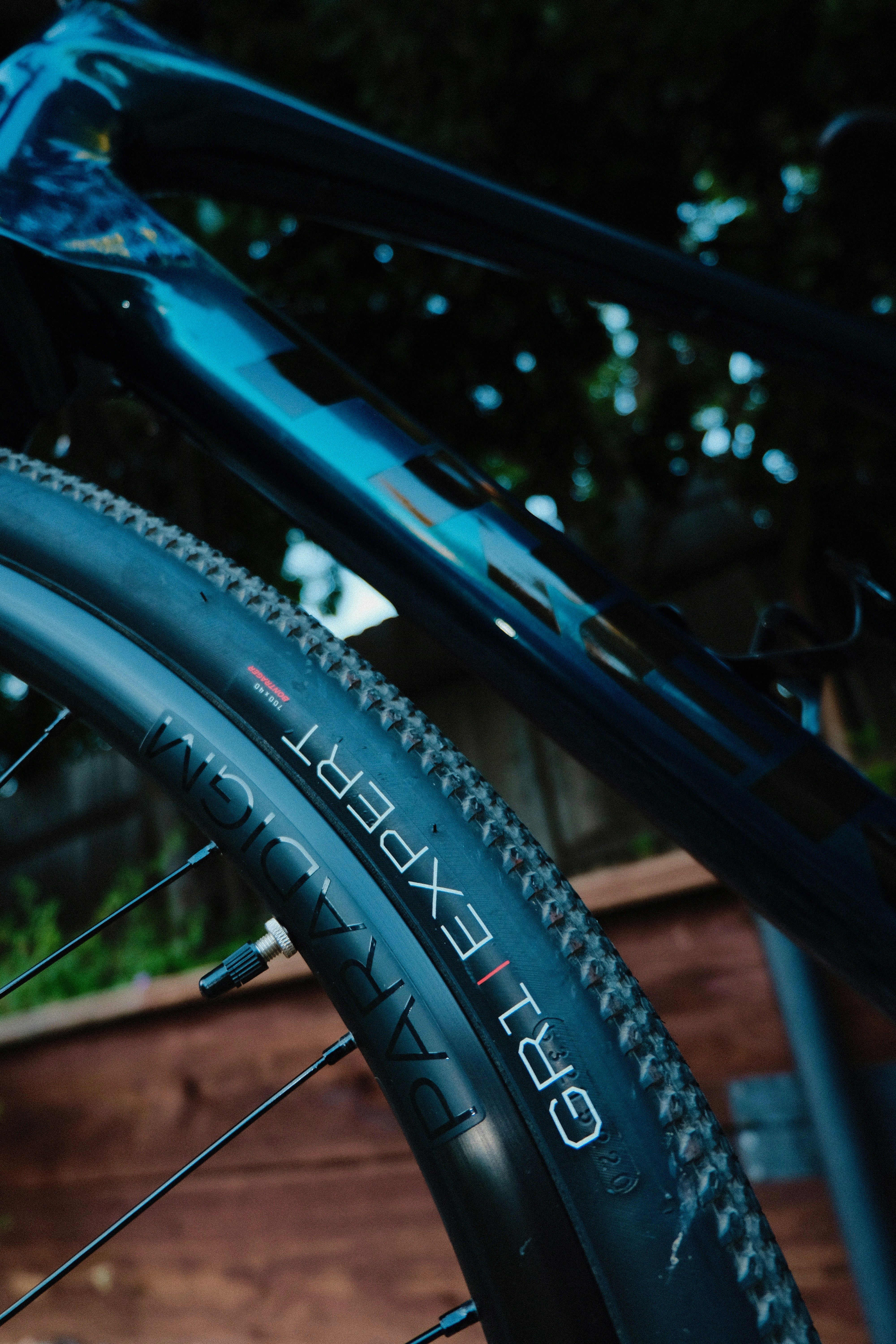 Blue Frame, Strong Treads: A Close-Up Ride of a Mountain Bike Wheel