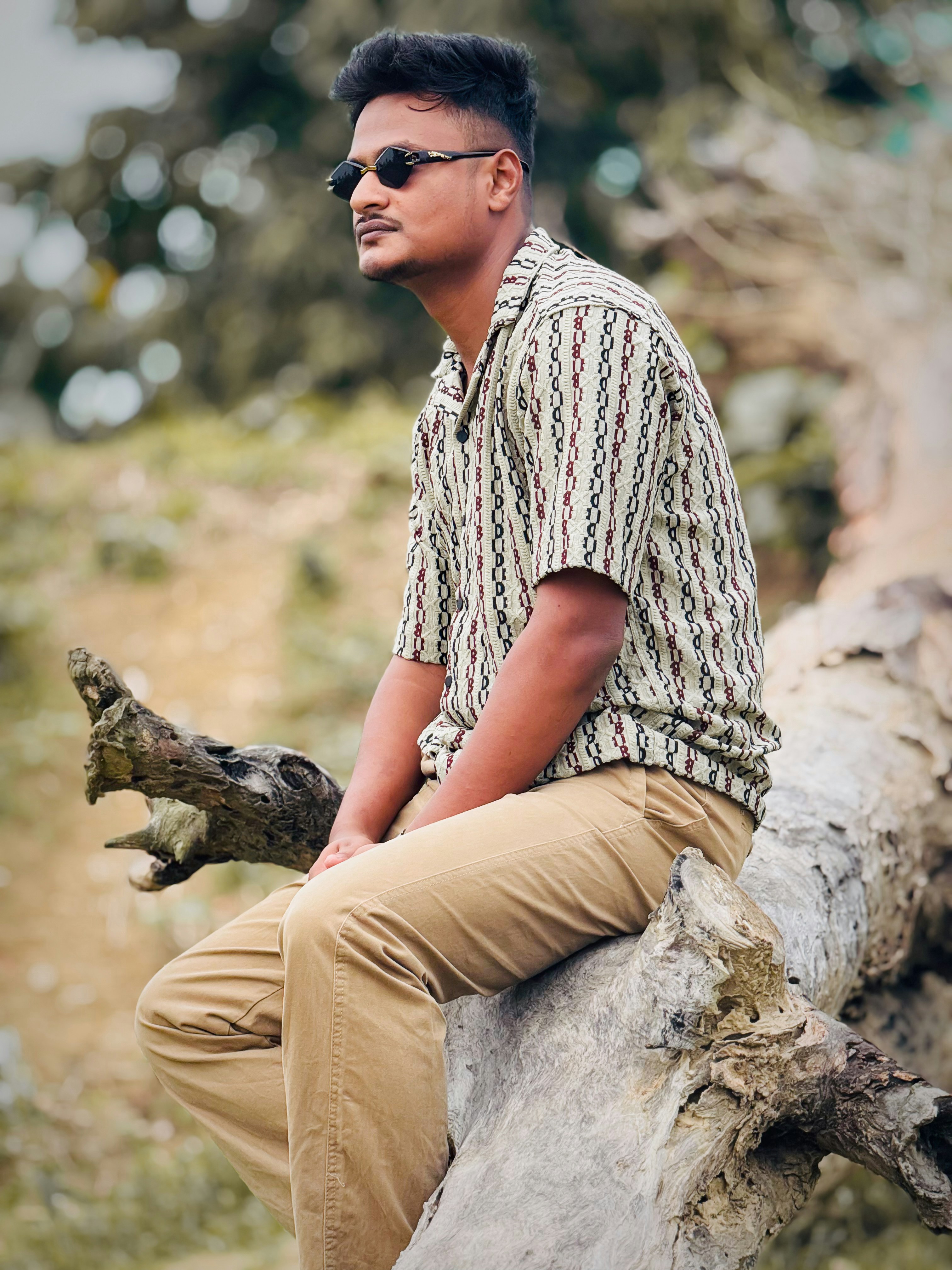Portrait on a Weathered Log: Quiet Confidence in Natural Light