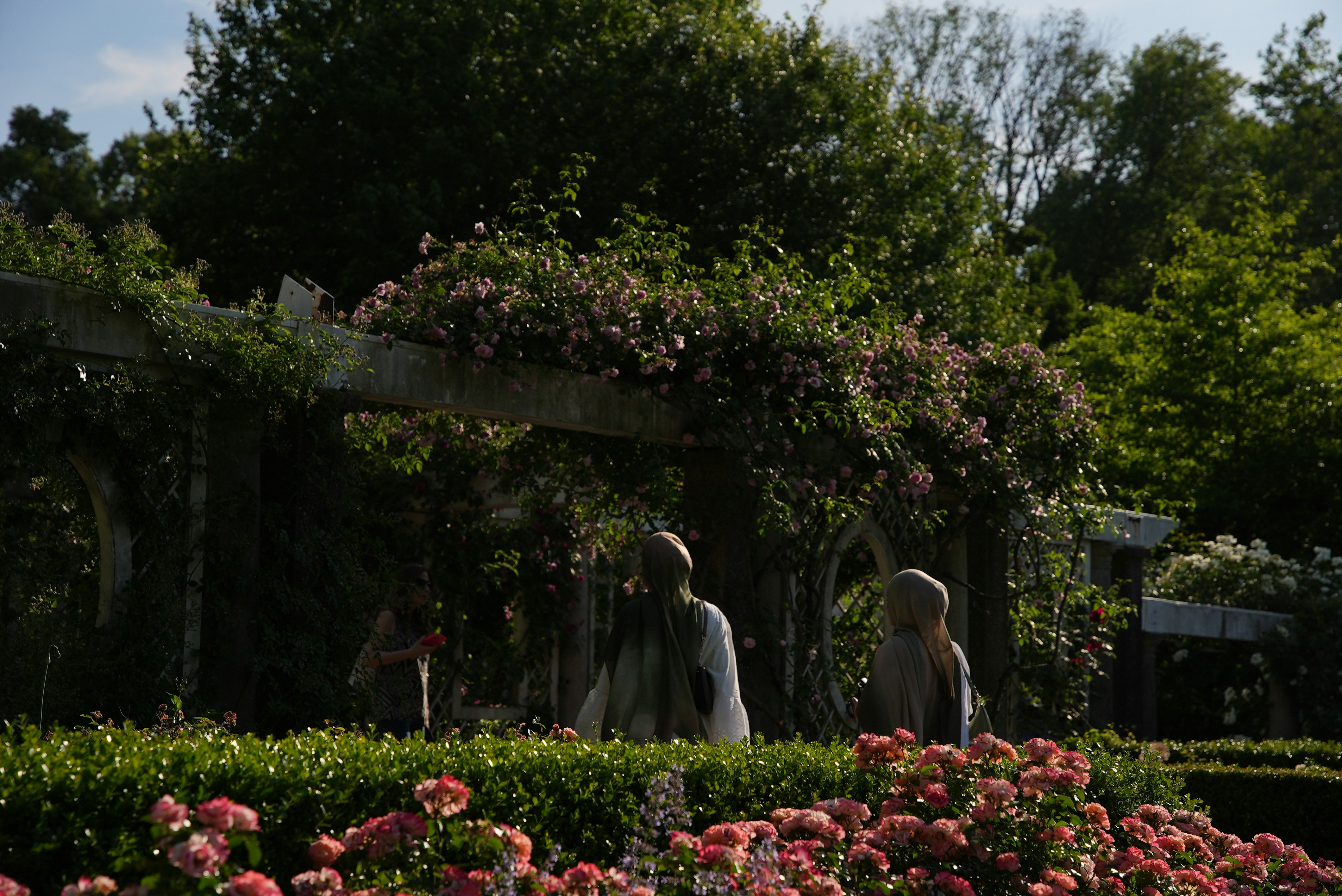 Garden Archway with Blooming Roses and Distant Figures