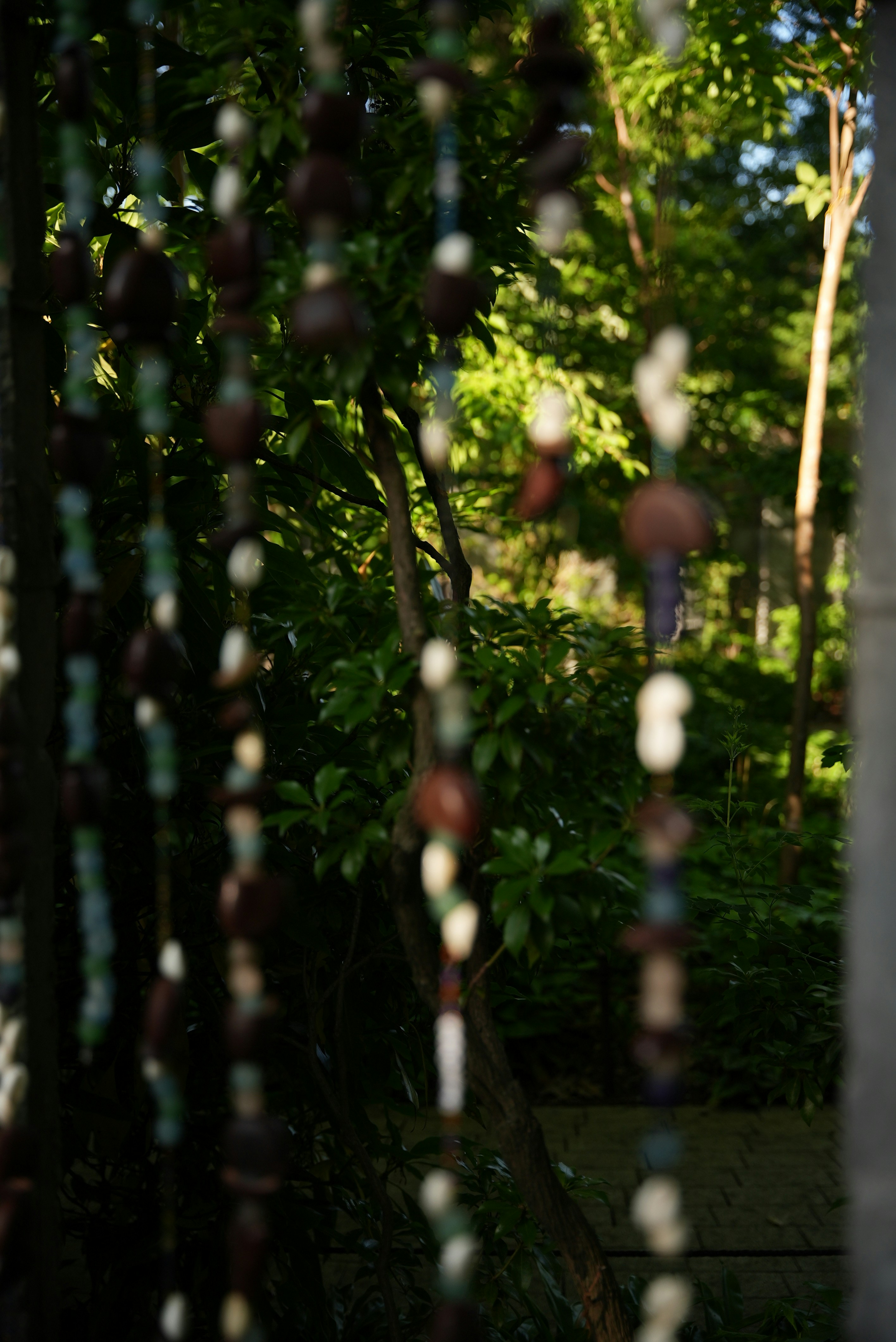 Beaded Curtain to the Green Garden