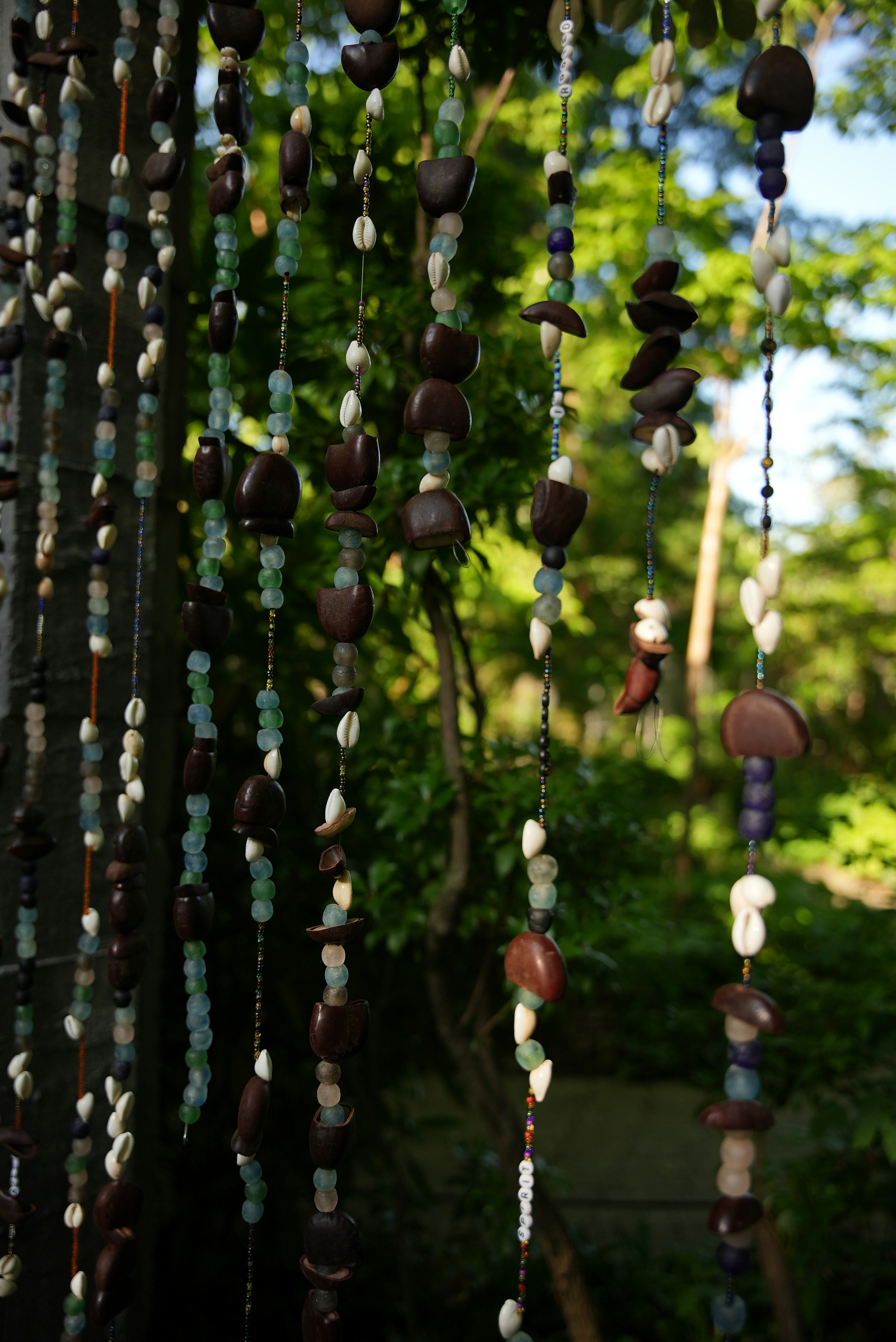Hanging Beads: Sunlit Threads in a Verdant Quiet