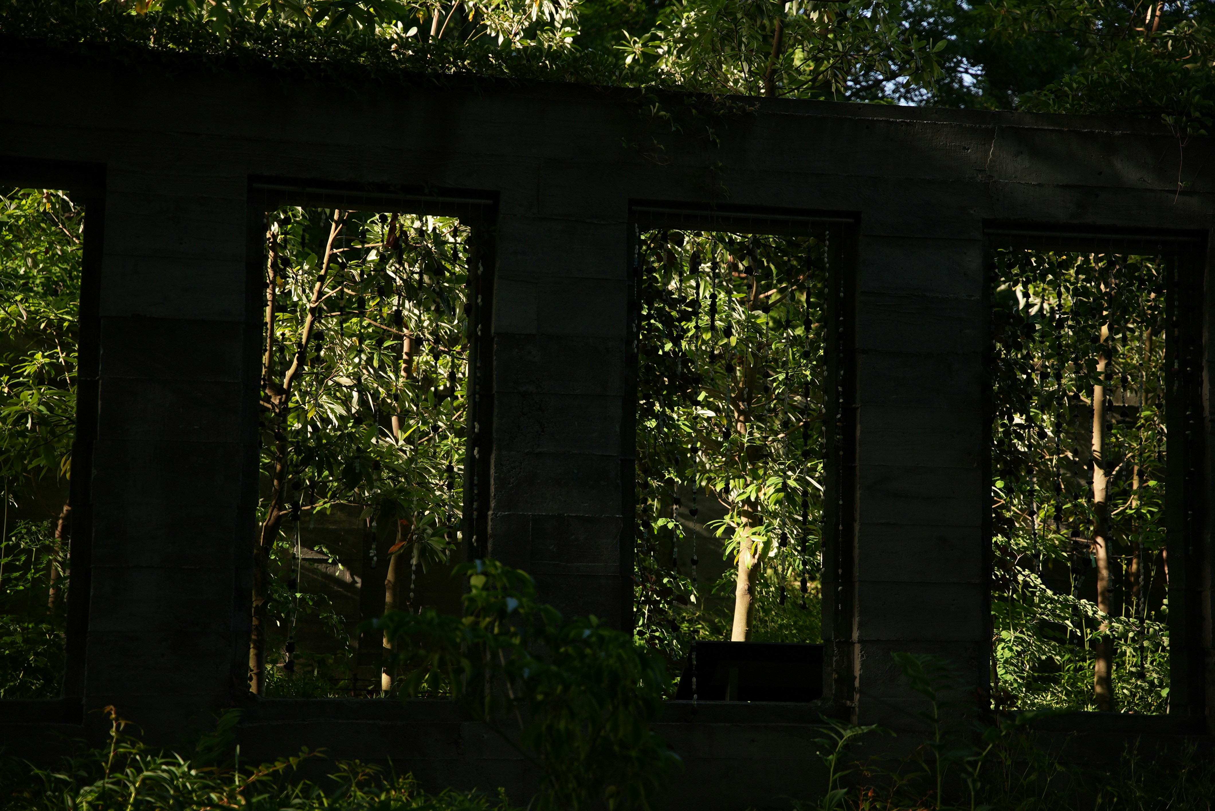Collapsed walls reveal a green forest bloom through empty window frames