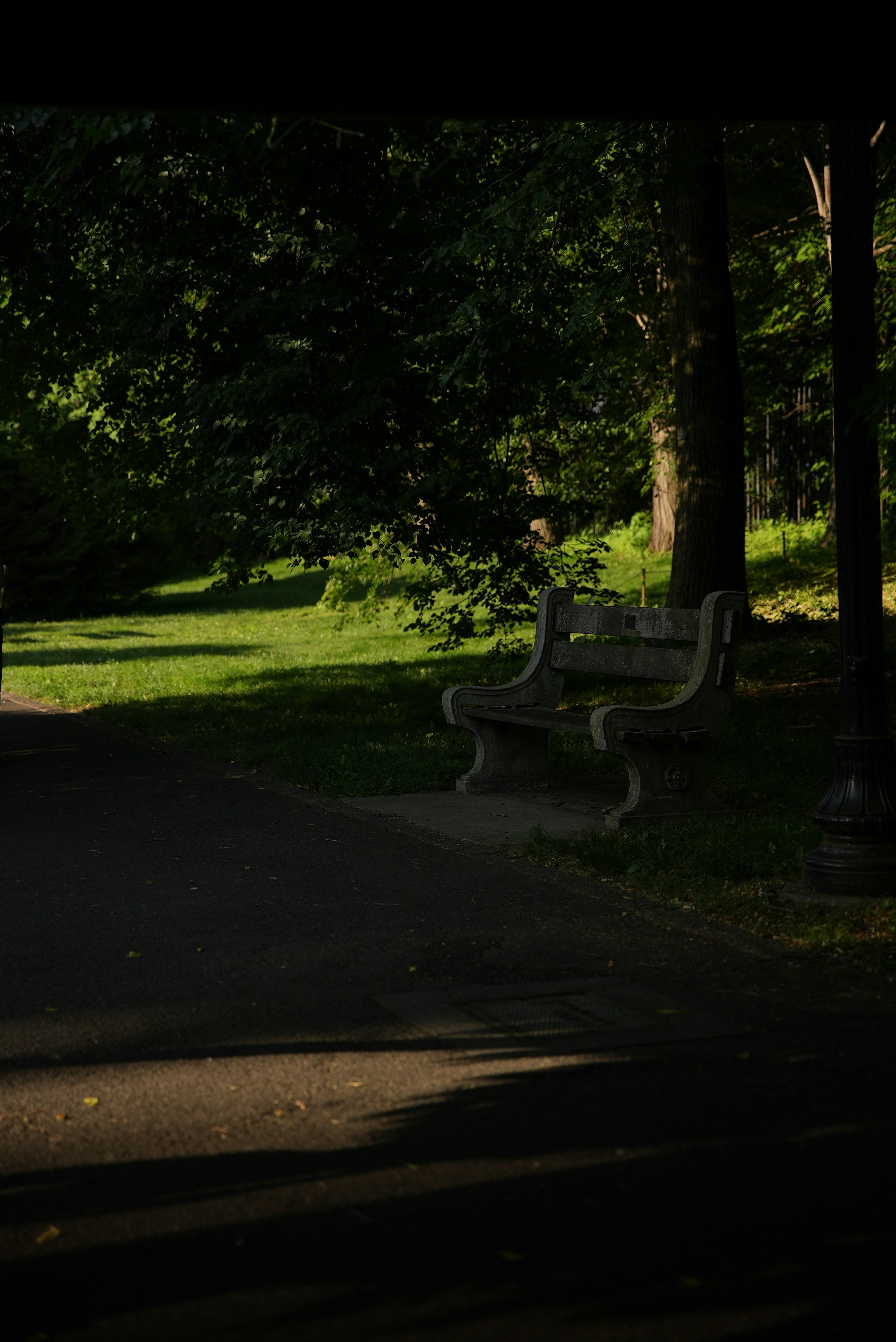 A park bench sits beside a path in dappled sunlight.