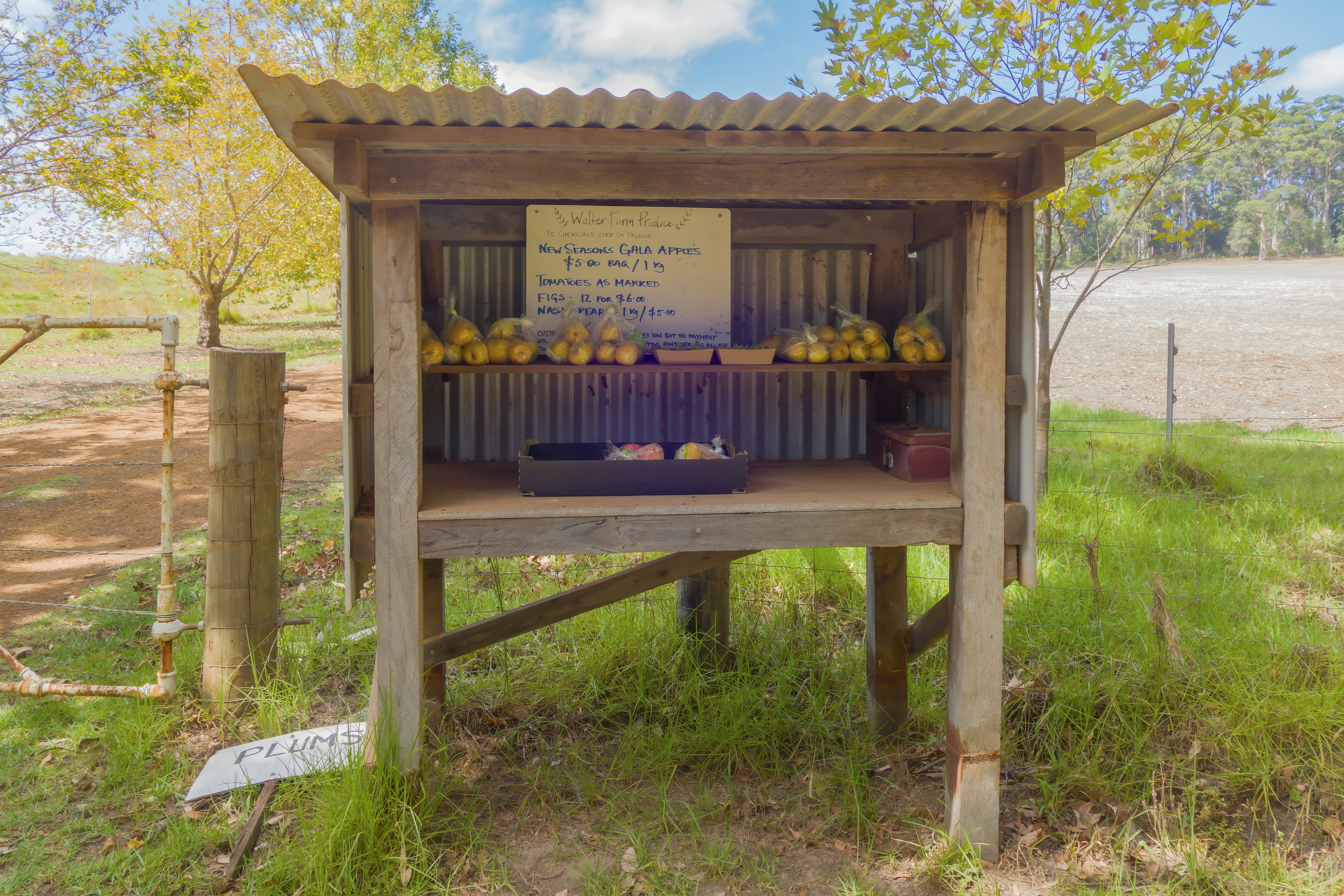 Fruit Stand in a Simple Rural Shelter Adrift in Sunlit Grass