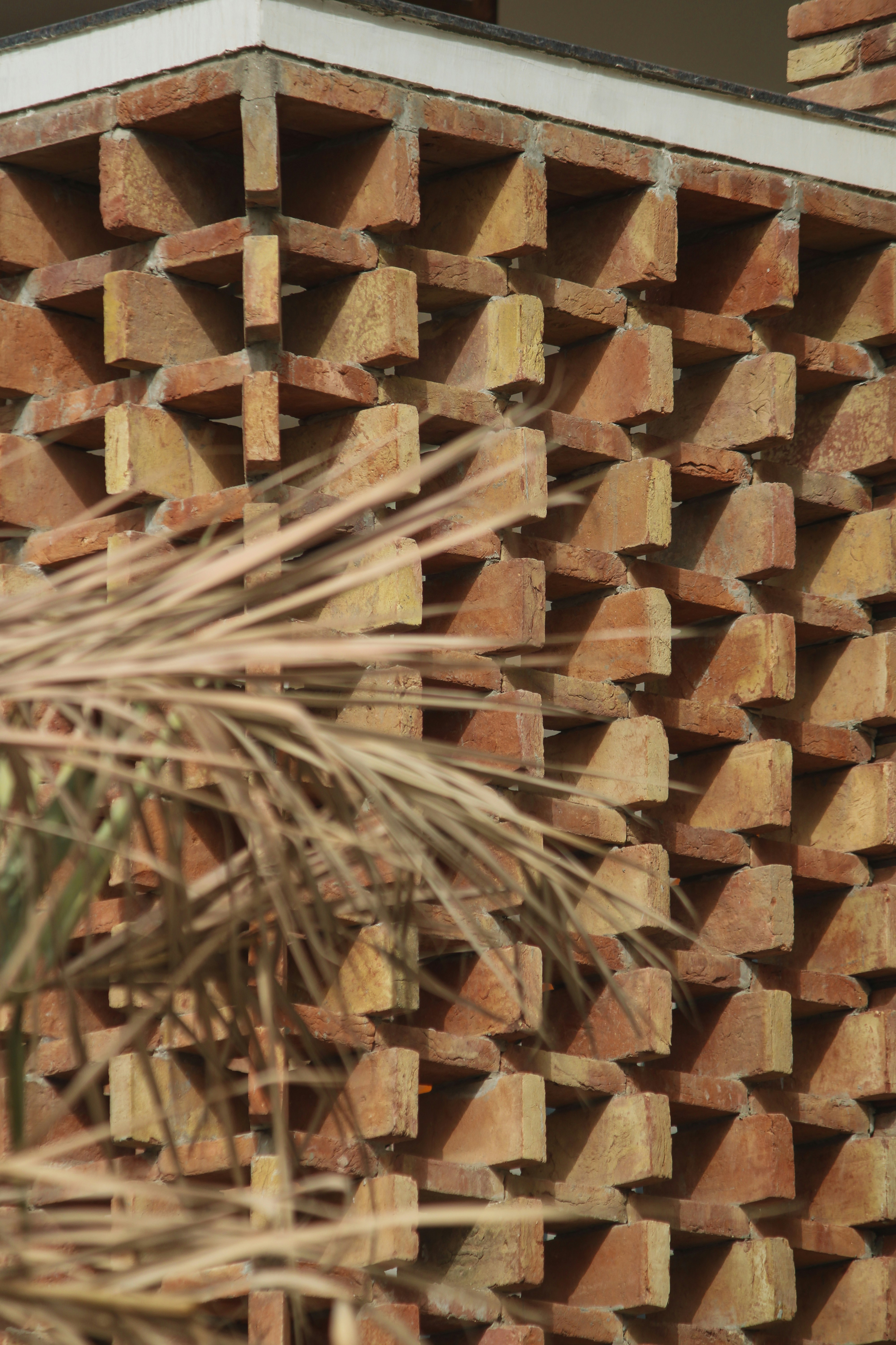 Cartoonish Bricks and Desert Plumes: A Textured Facade in Sunlit Geometry
