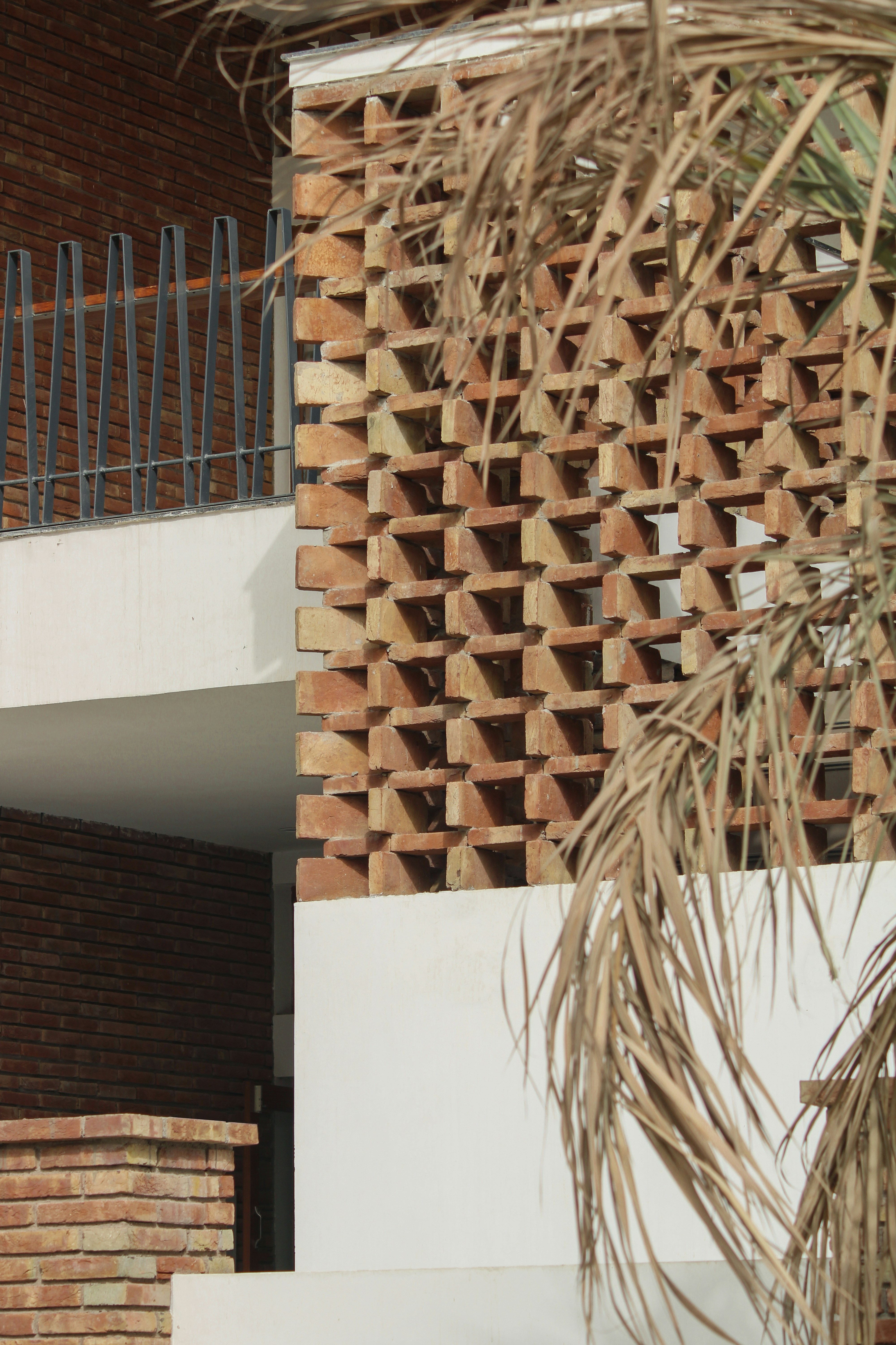 Architectural Pattern and Coral Brick Mesh Against Palm Fronds