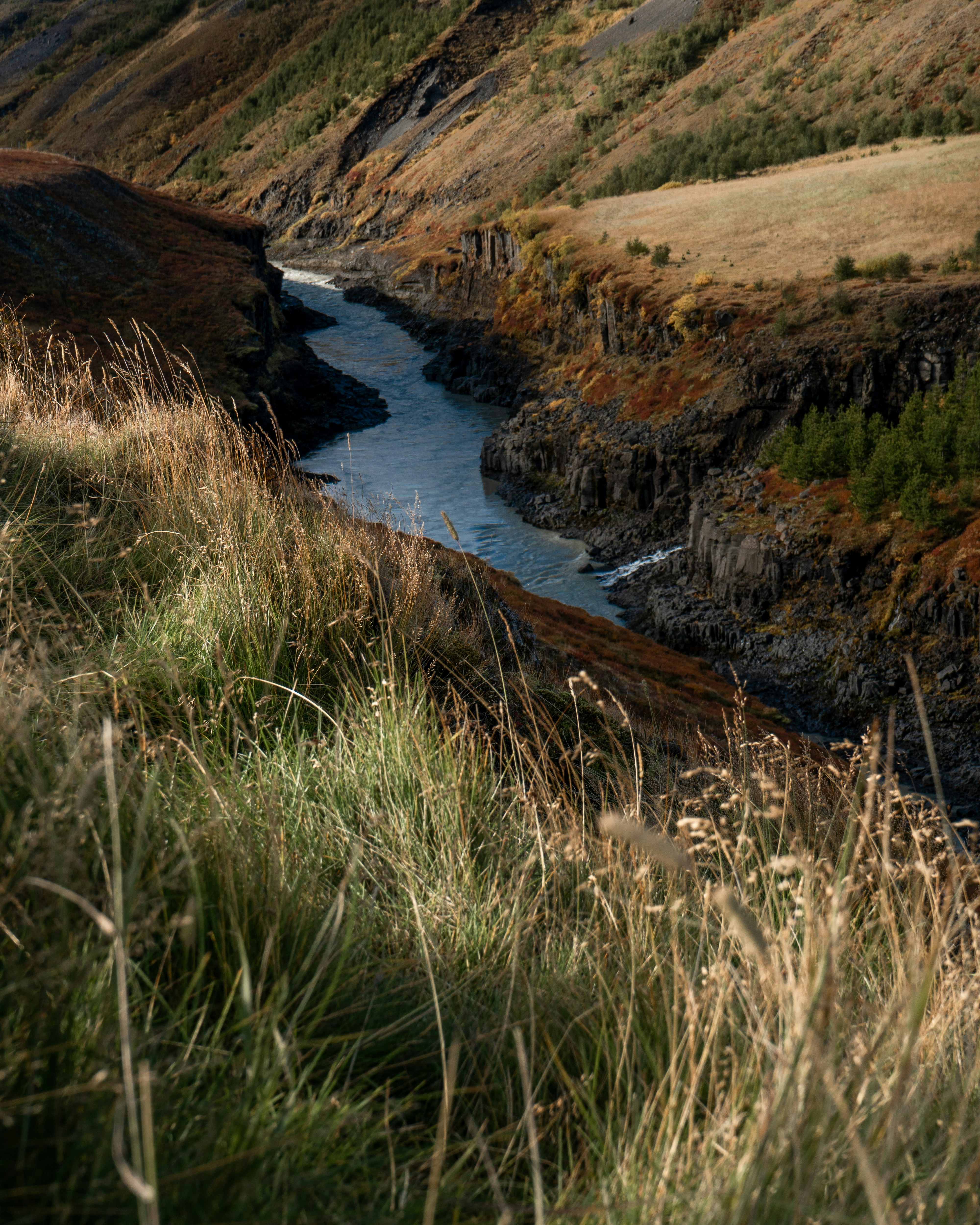 Rugged Canyon Confluence: A Narrow River Weaving Through Sunlit Cliffs