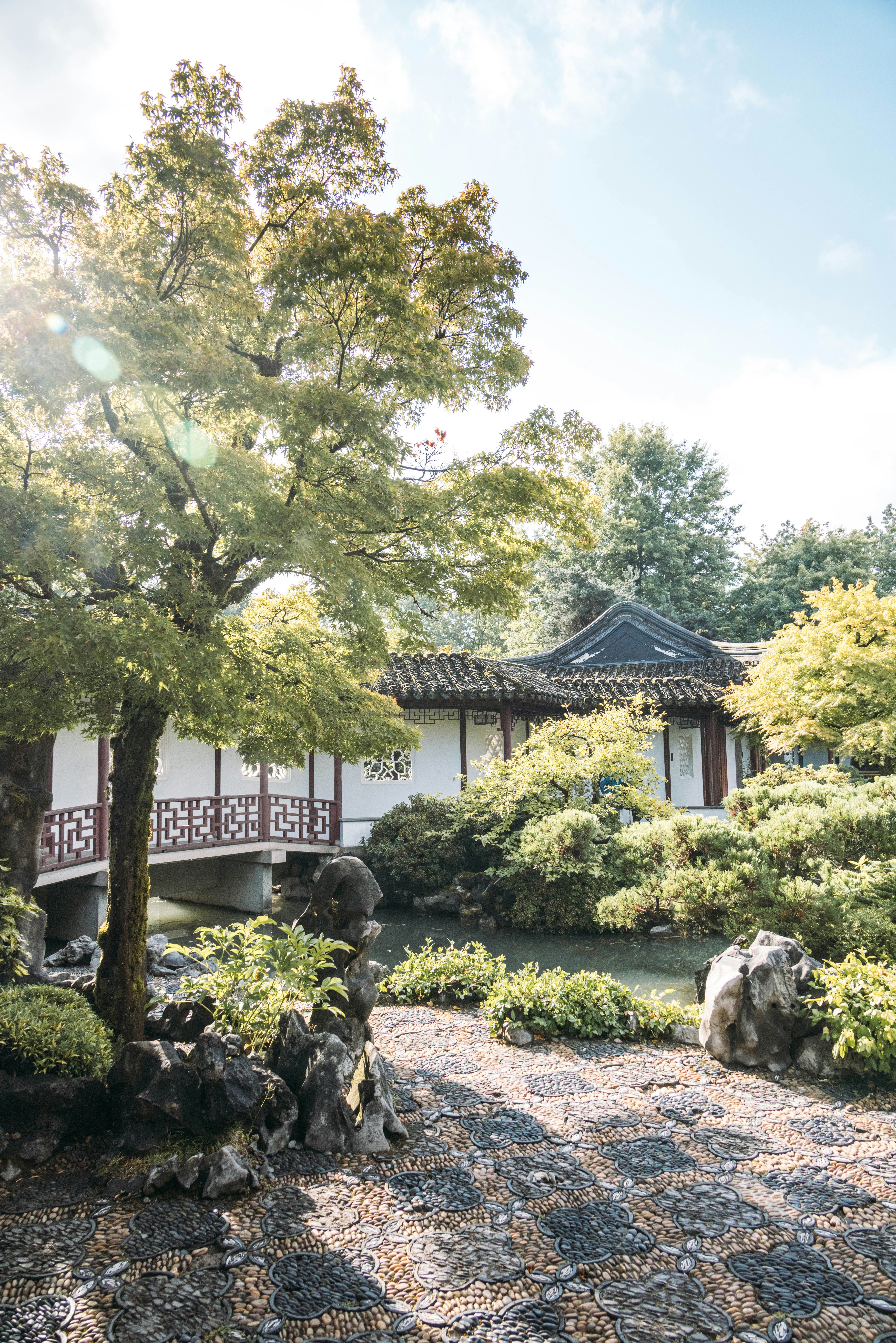 Serene Temple Garden Bathed in Spring Light
