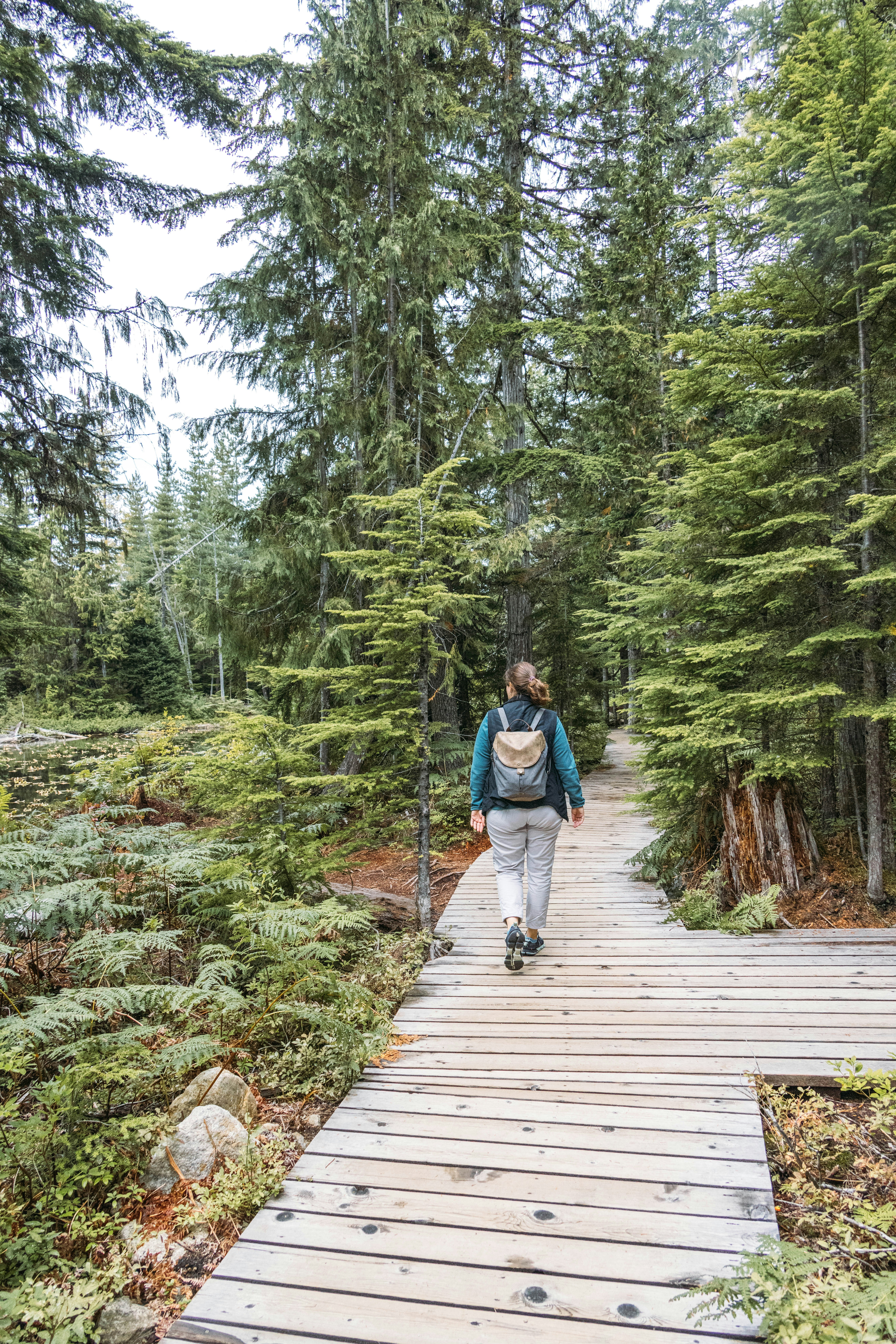 Trailbound Traveler: A solitary hiker on a sunlit wooden path