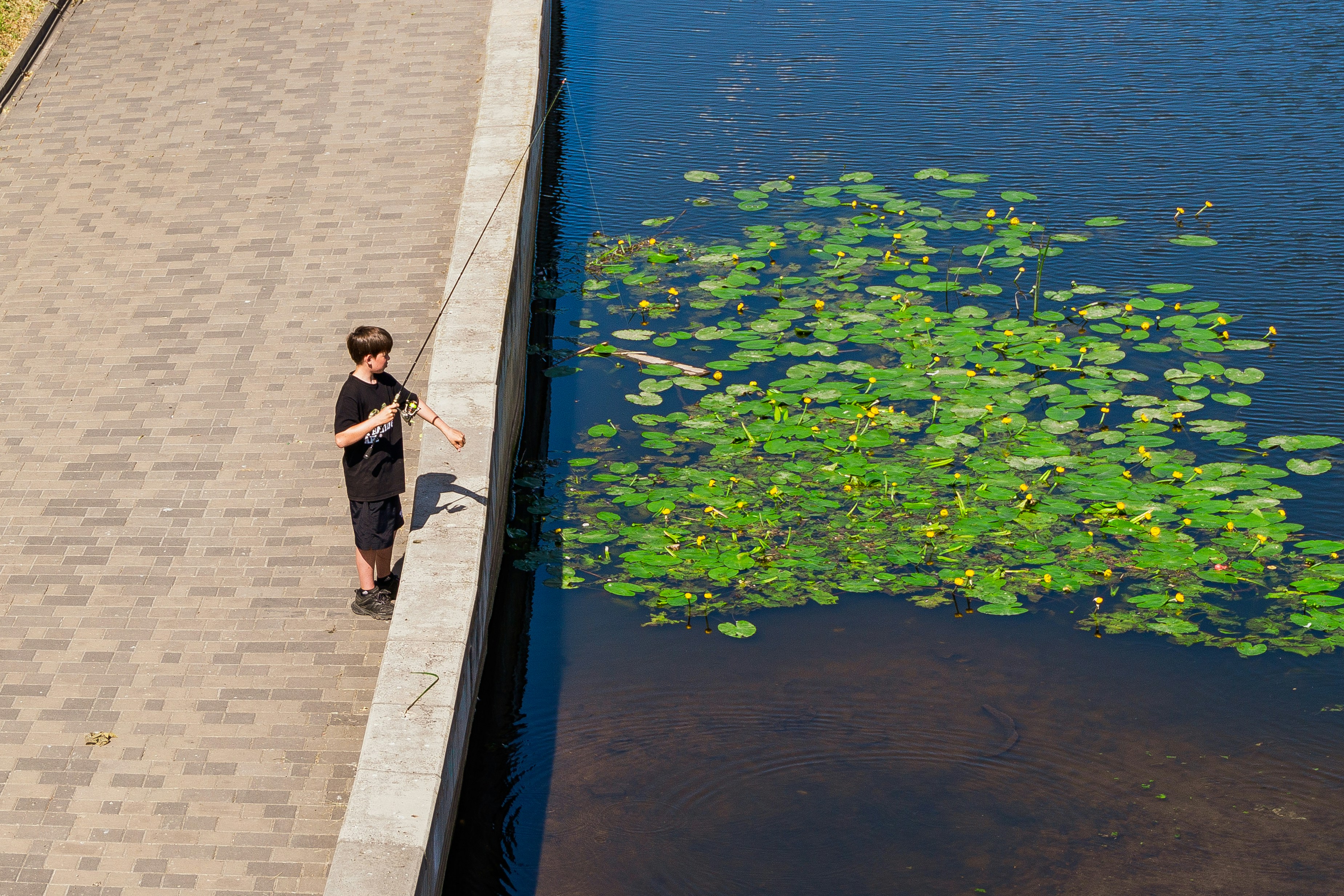 A lone boy stands on a concrete pier next to a calm, dark-blue waterway dotted with lily pads, fishing with a rod under clear light. The scene foregrounds human stillness beside aquatic life.