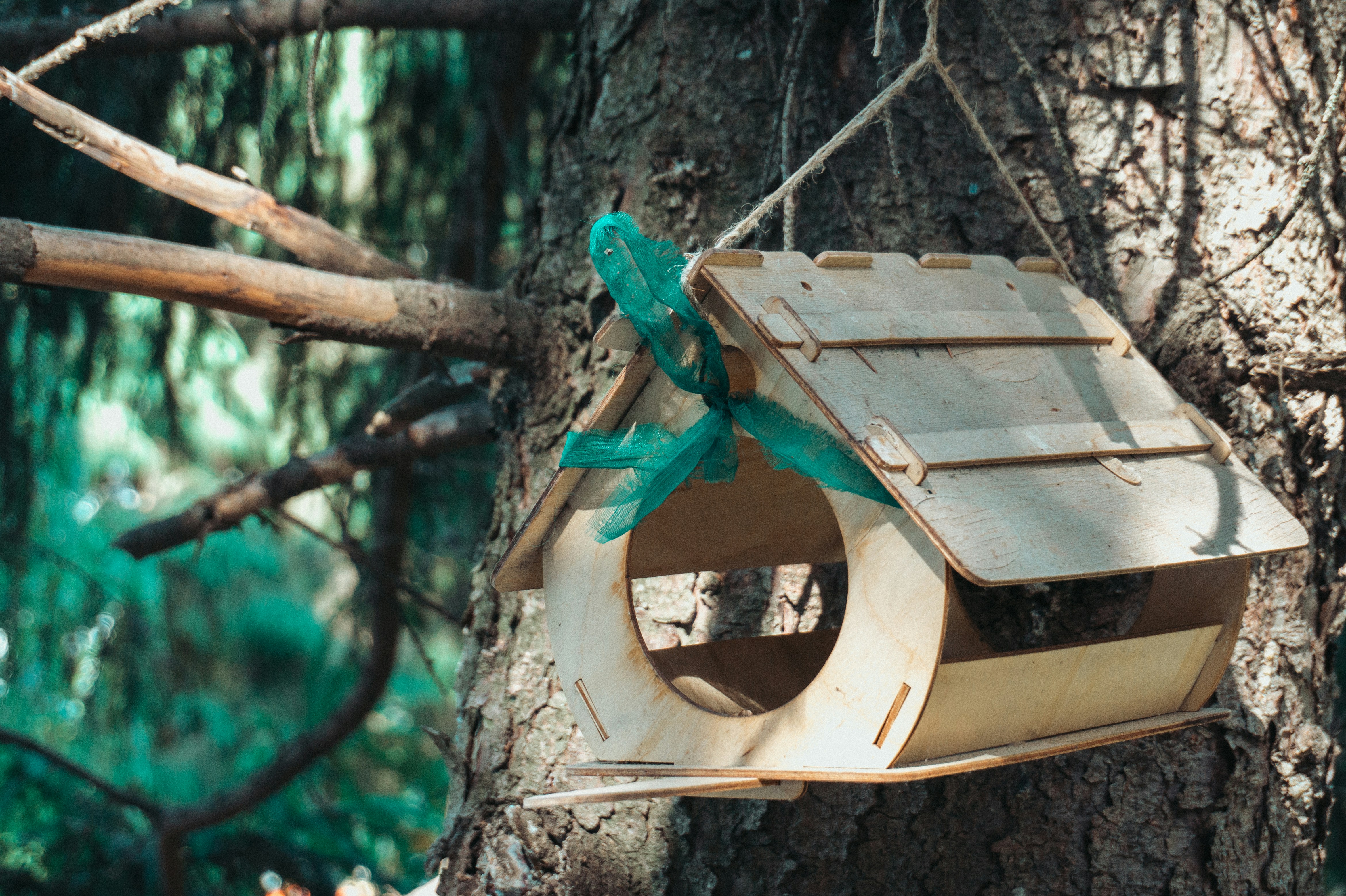 Wooden Birdhouse on a Branch: A Quiet Forest View