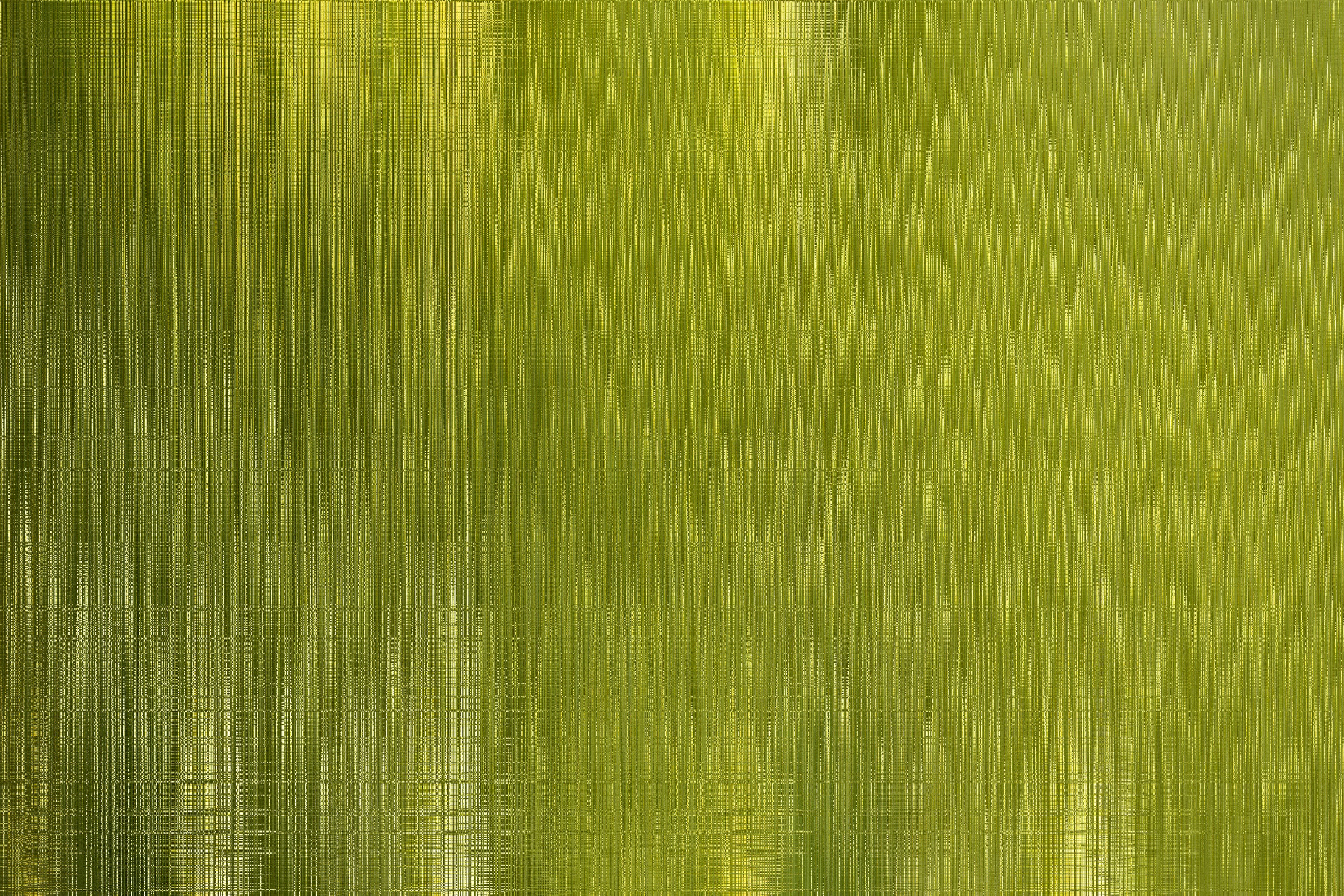 Vertical Echoes: Golden Blades in a Quiet Field