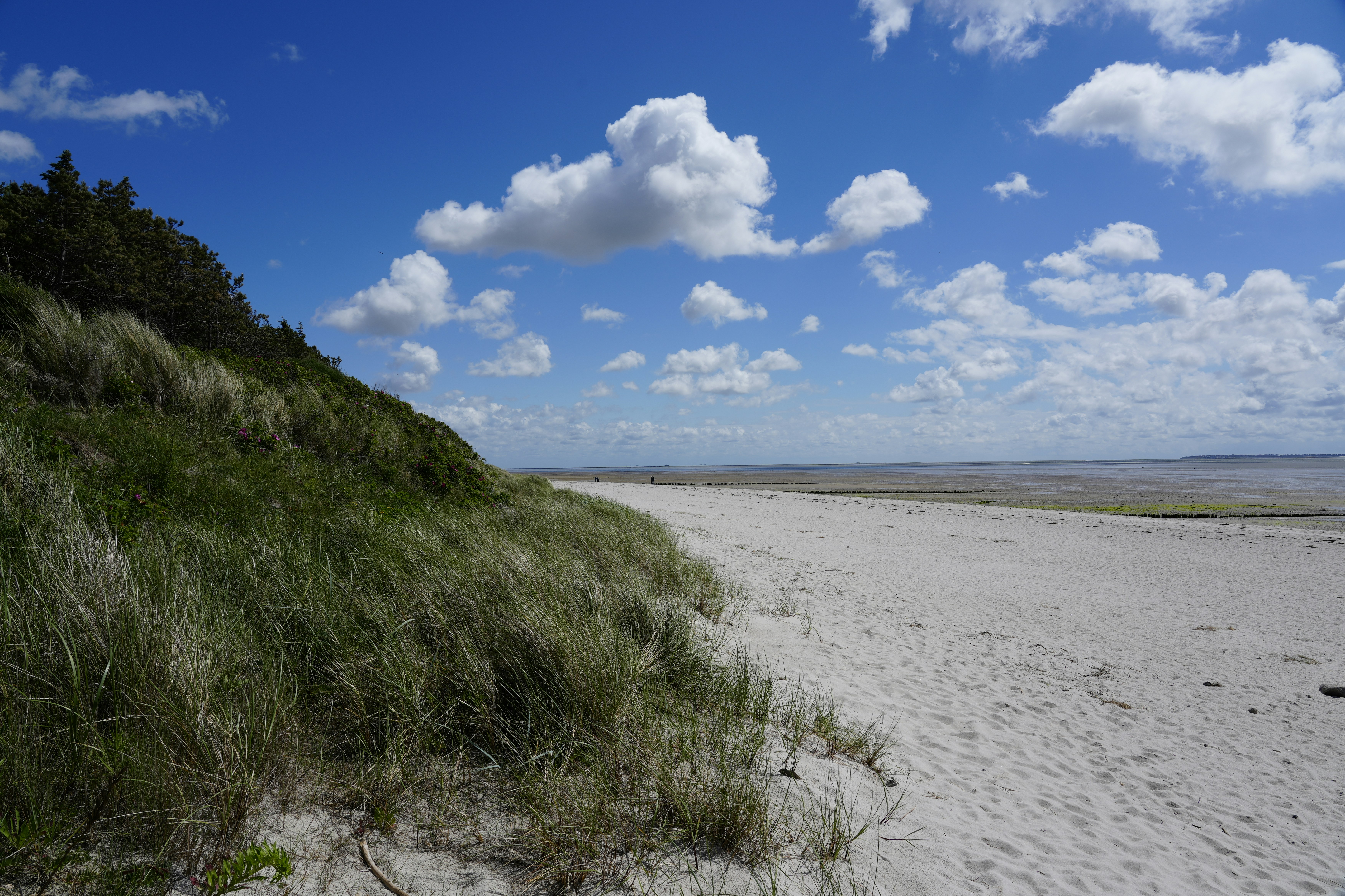 Coastal Dunes under a Wisp of Clouds