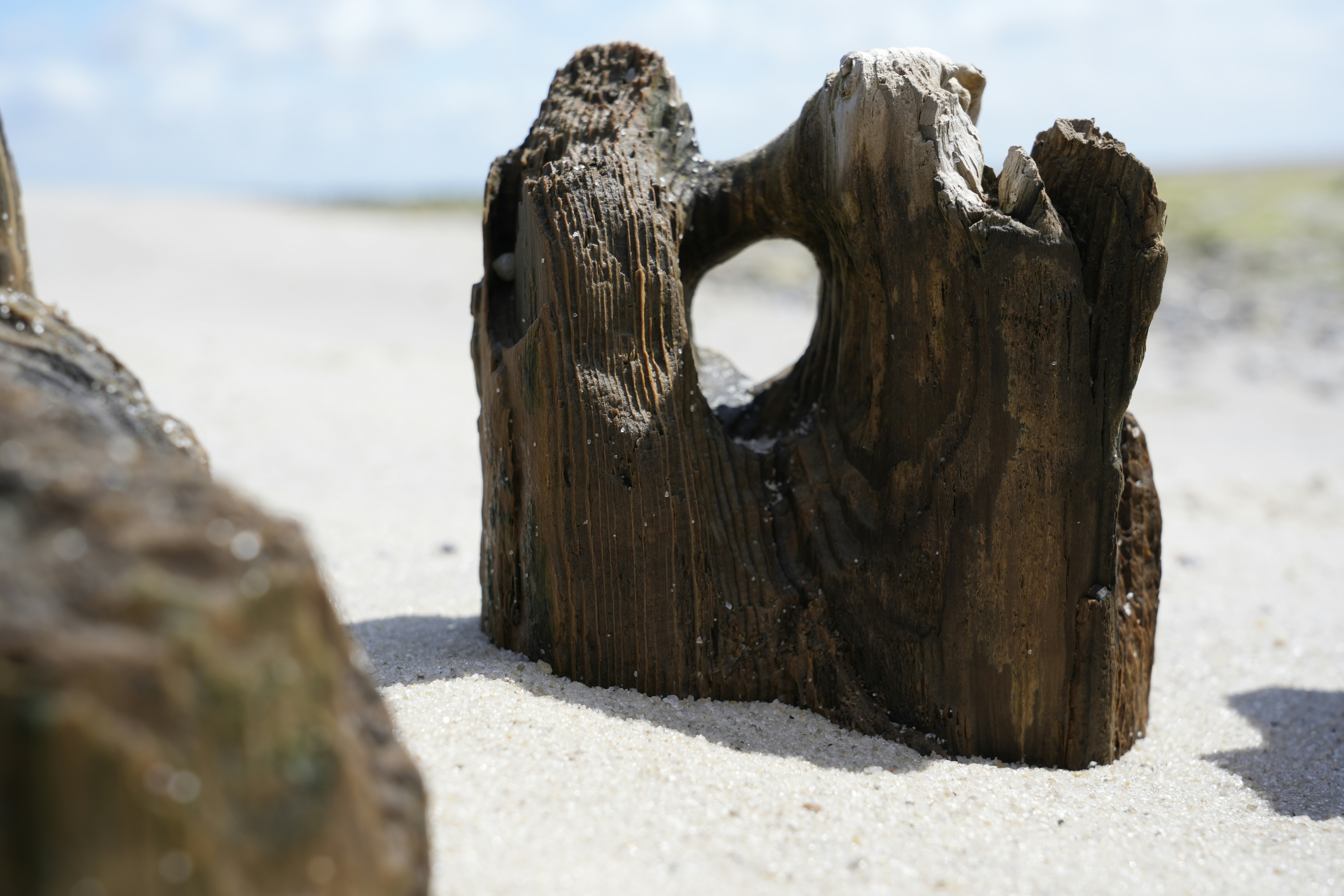 Driftwood Sentinel: A Charred Arch on Sunlit Sand