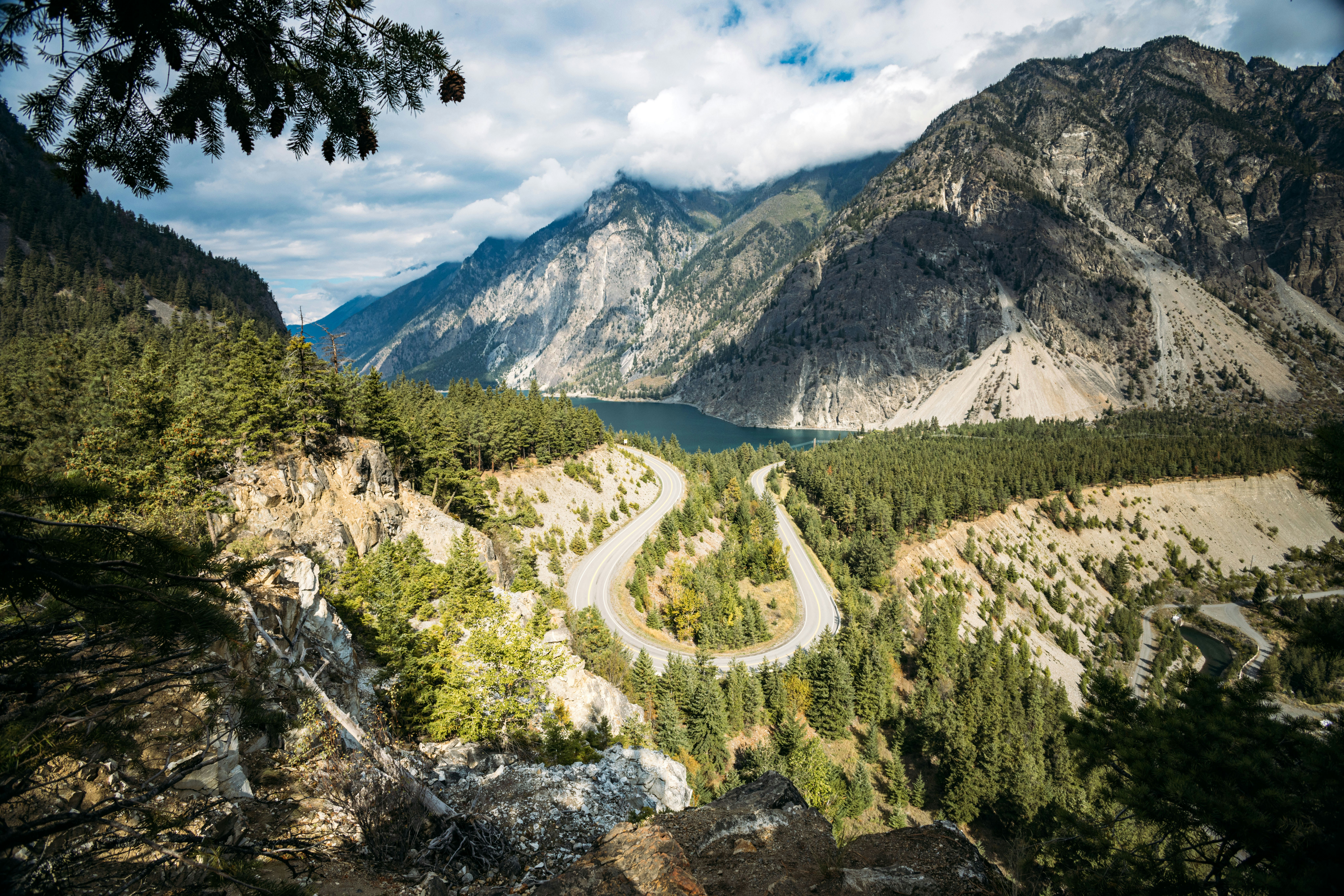 Wind-sculpted Highway through a Coniferous Canyon