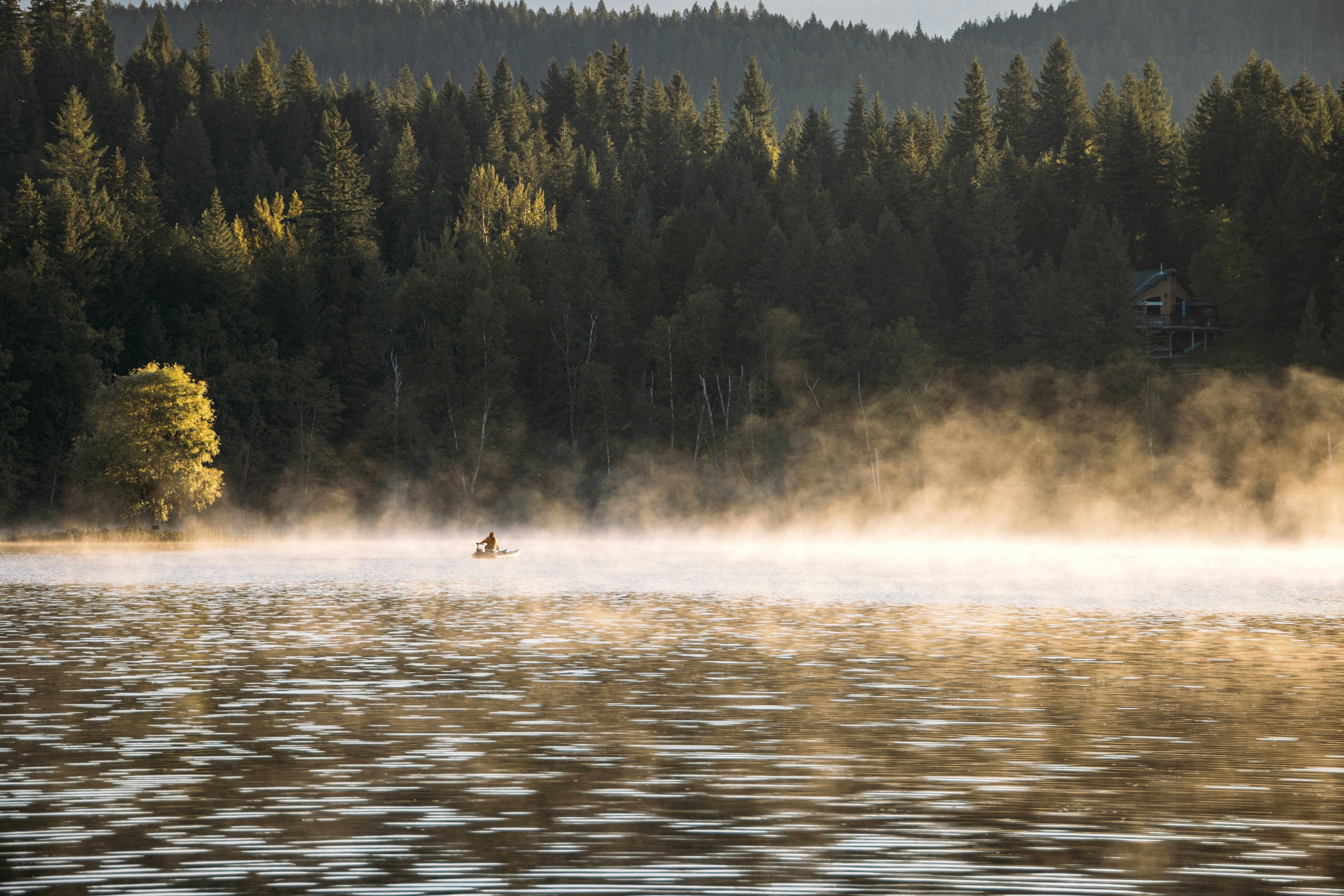Lonely Angler Amid Mist on a Quiet Lake