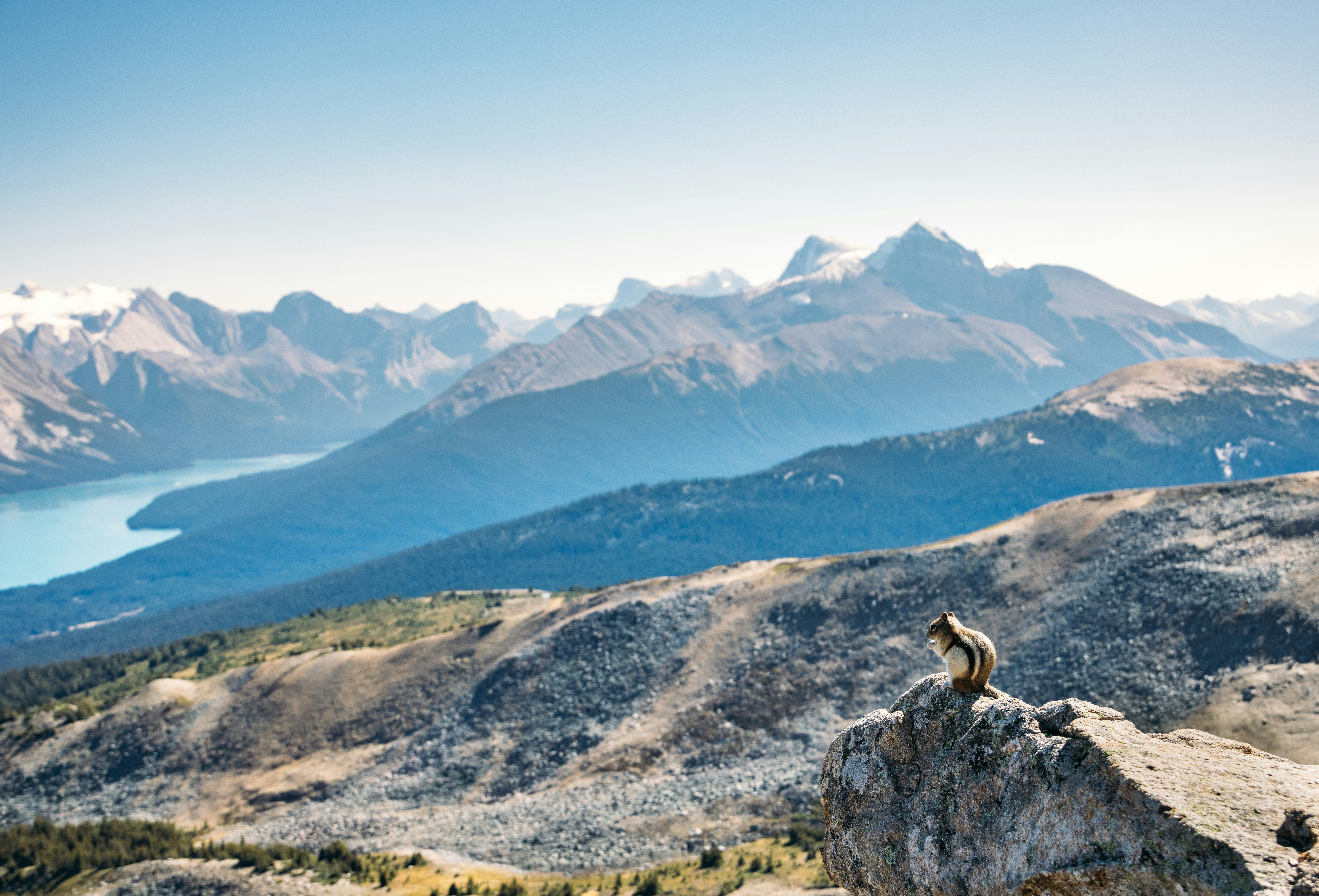 A Sentinel on the Summit: Stone Watcher Over the Sea of Peaks