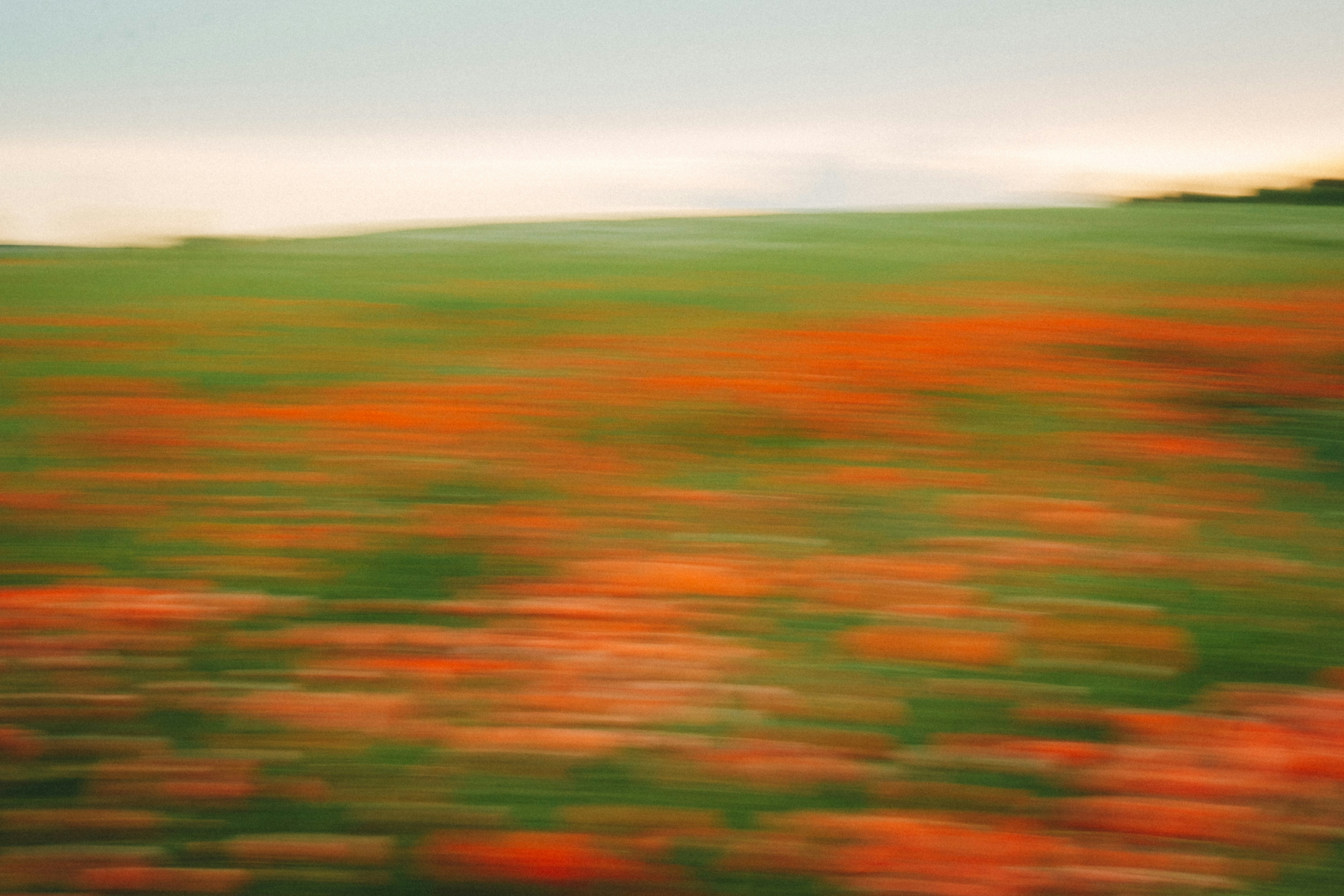 Blurred Meadow in Motion: A Field of Orange and Green in Transit