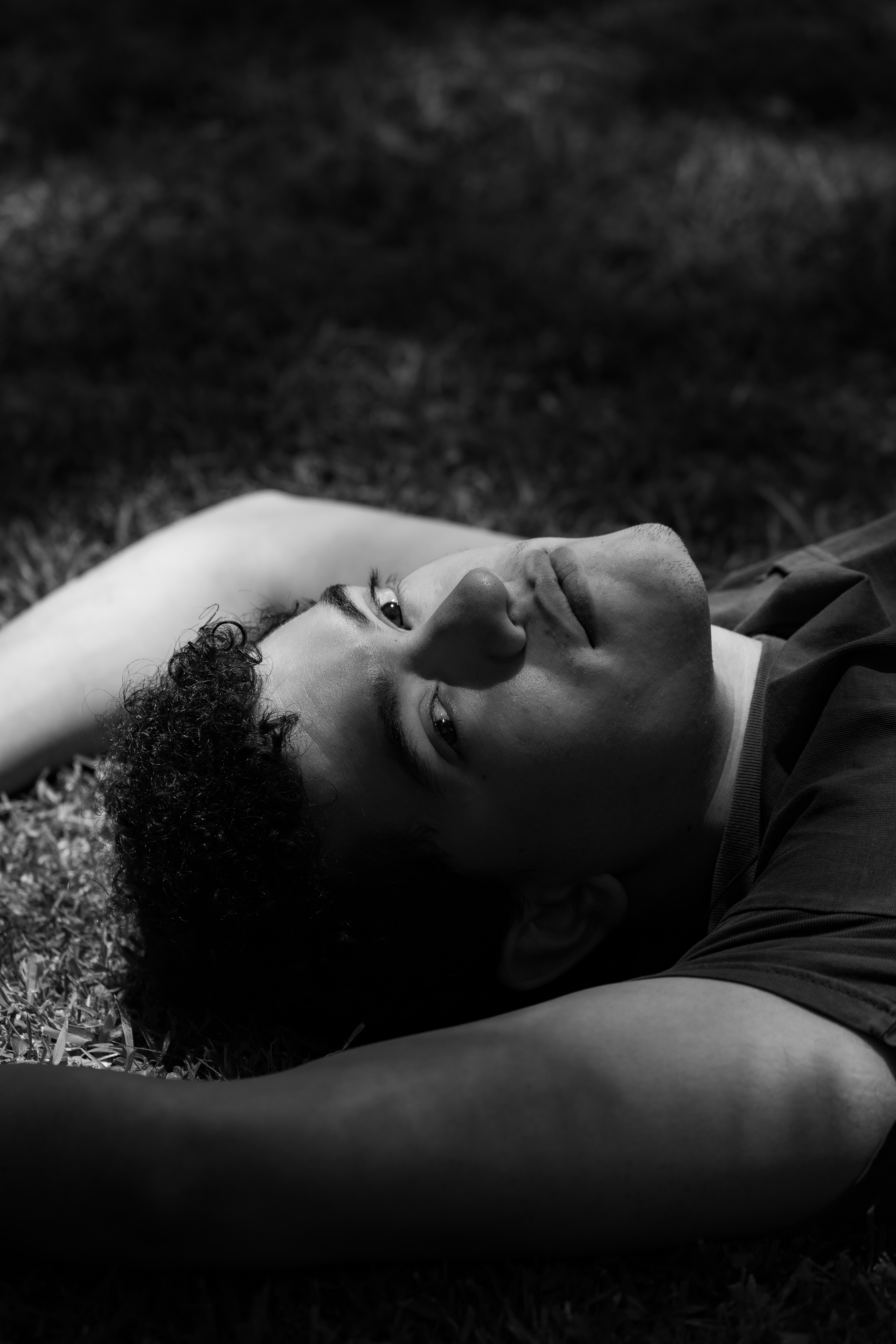 Luminous Contemplation Under Quiet Shade