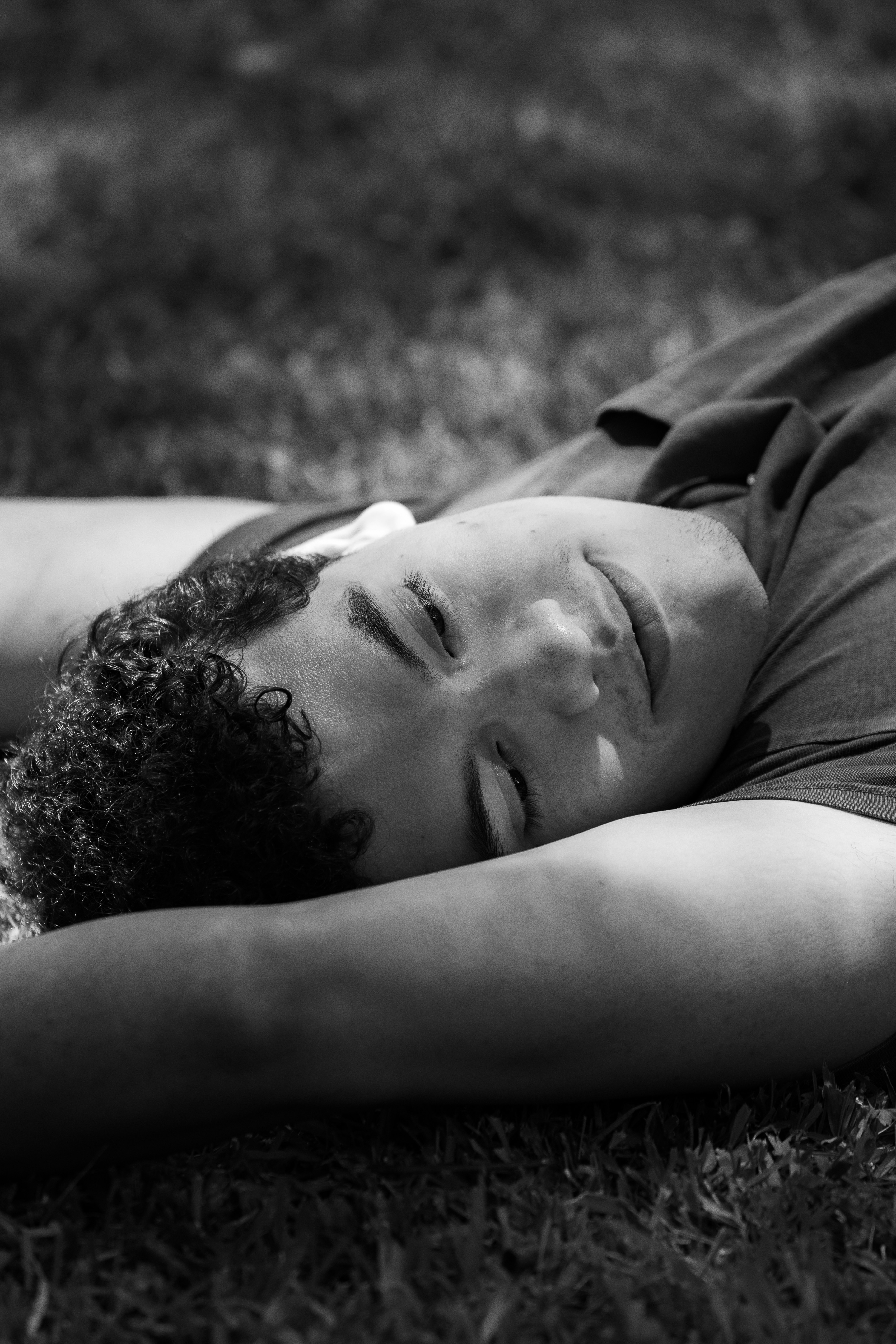 Sunlit Calm: A Quiet Moment on the Grass