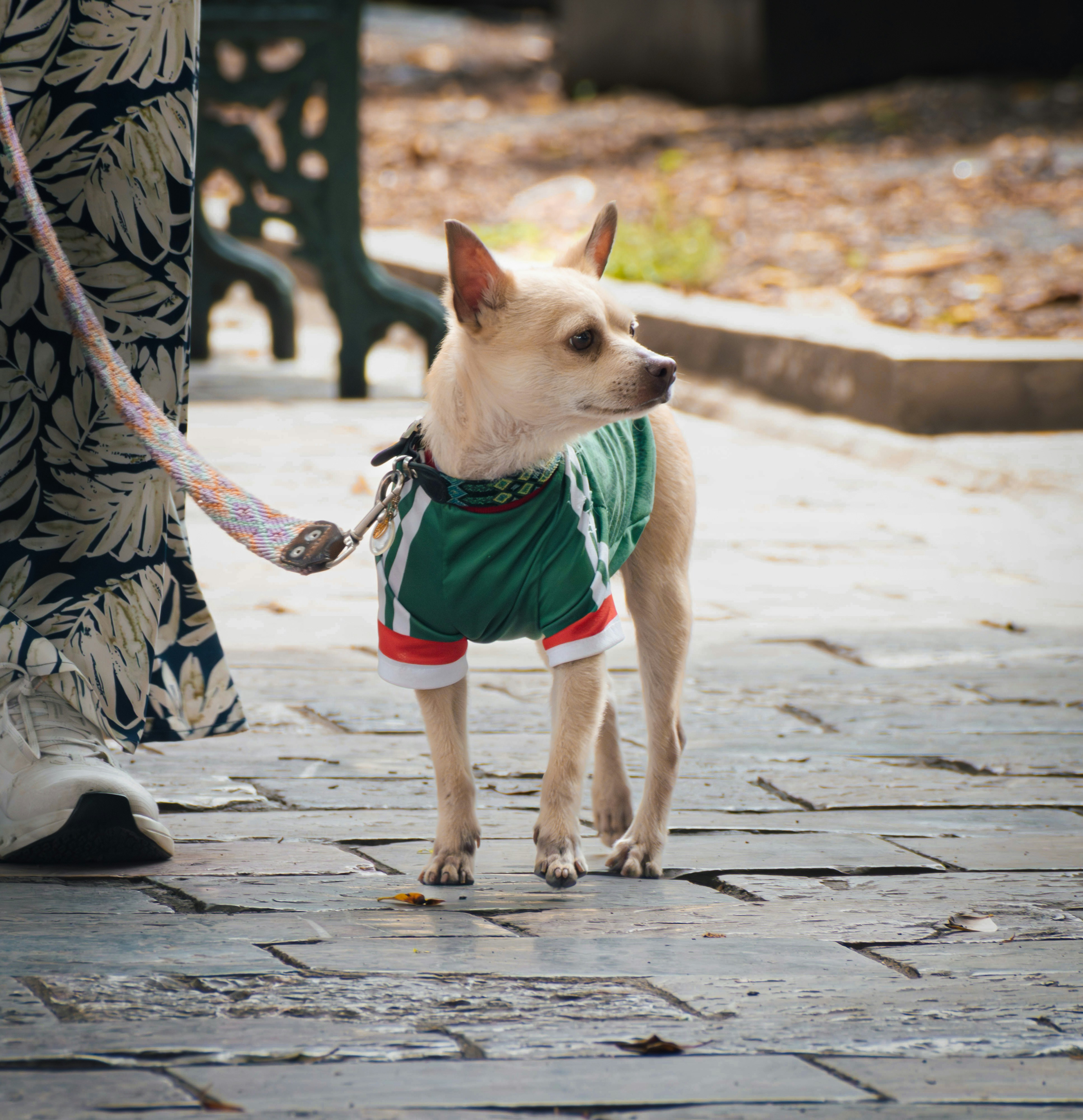 Tiny Explorer in a Green Vest Stepping Through the Park