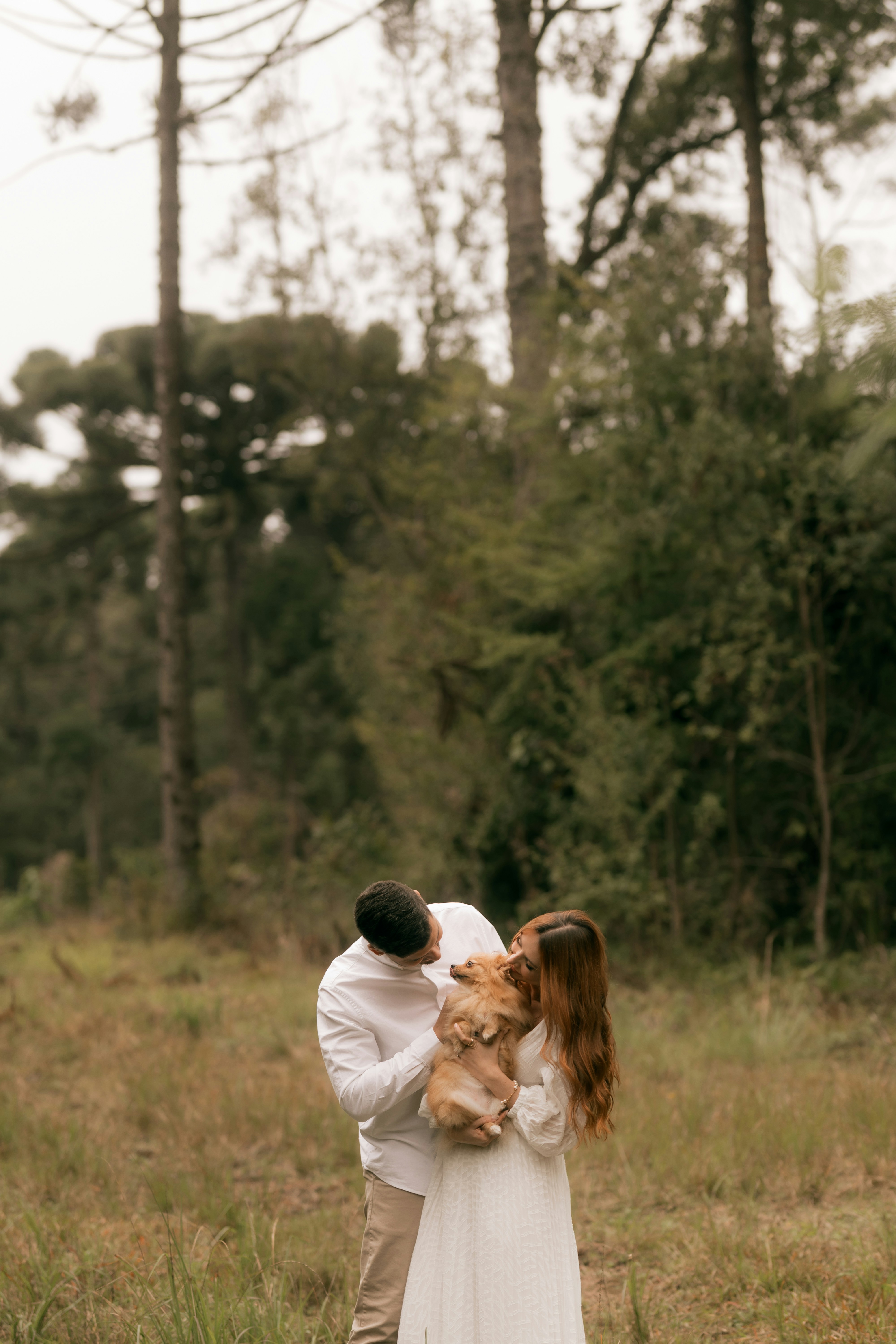Tender Moment in a Field: A Couple With their Dog