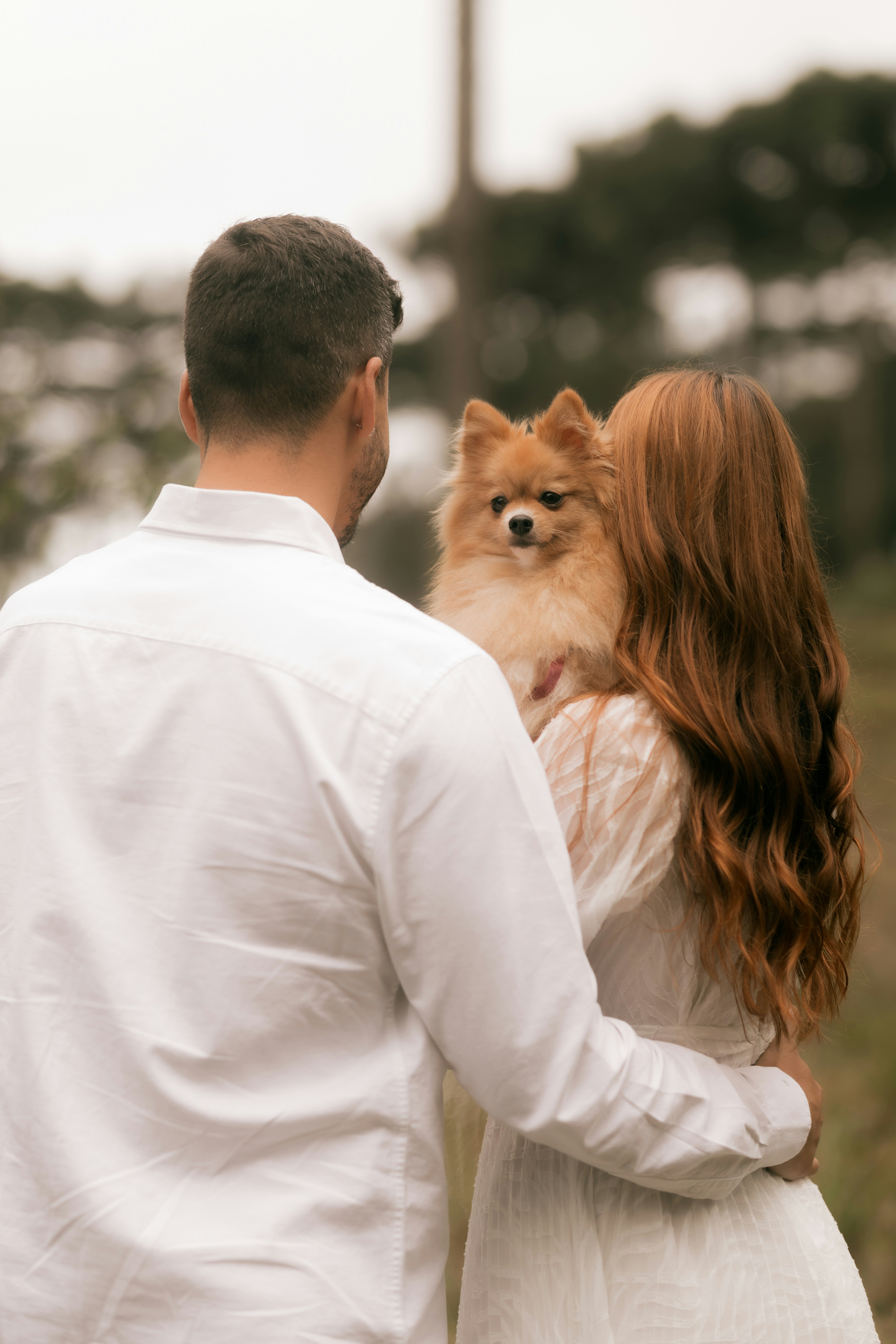 Together Under One Roof: A Couple and Their Pomeranian