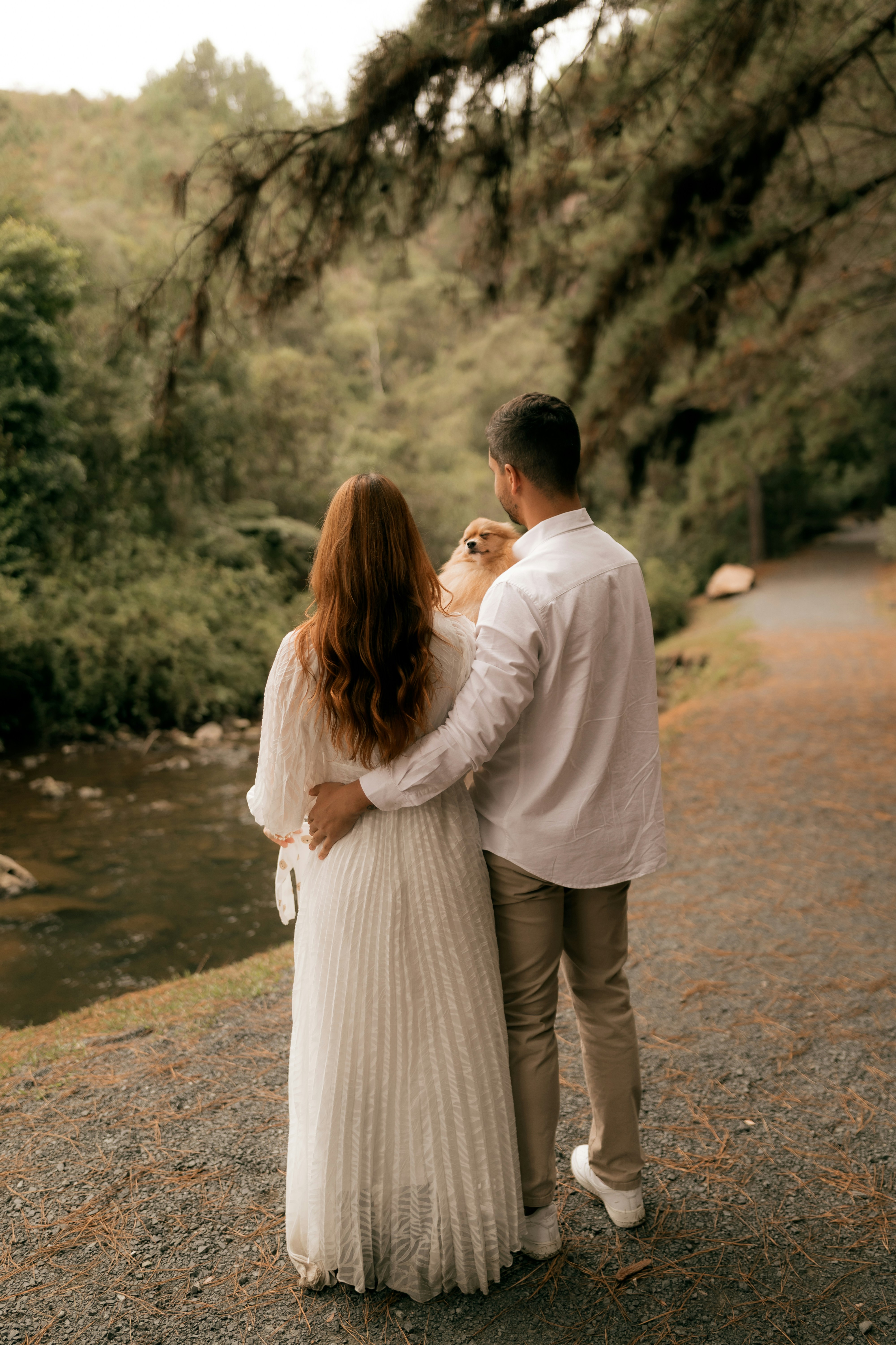 A Walk by the Willow: Embracing the Quiet Along the Riverbank