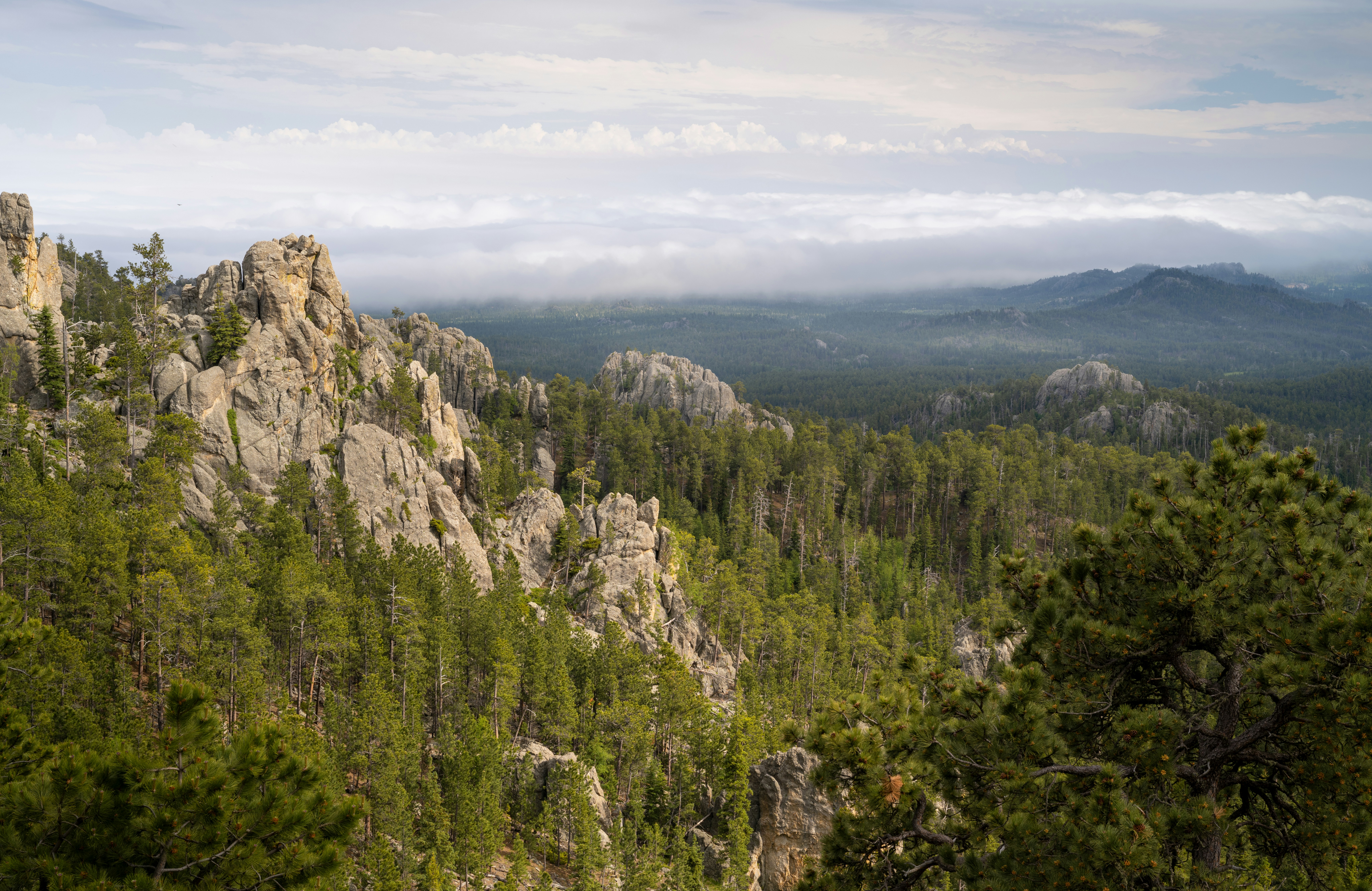 A sweeping elevated vista reveals the full grandeur of the Black Hills landscape, with rugged grey granite formations jutting dramatically from a dense, unbroken carpet of dark green ponderosa pine forest that stretches endlessly to the horizon. A band of low clouds and morning mist hugs the middle distance, creating a stunning layered effect that separates the forested valley floor from the pale blue sky above. Multiple clusters of granite outcroppings recede into the distance, giving the image extraordinary depth and scale. The cool, misty morning light gives the entire scene a serene, primordial atmosphere. Perfect for Black Hills travel, South Dakota wilderness, national forest, outdoor adventure, scenic overlook, nature conservation, or epic landscape concepts.